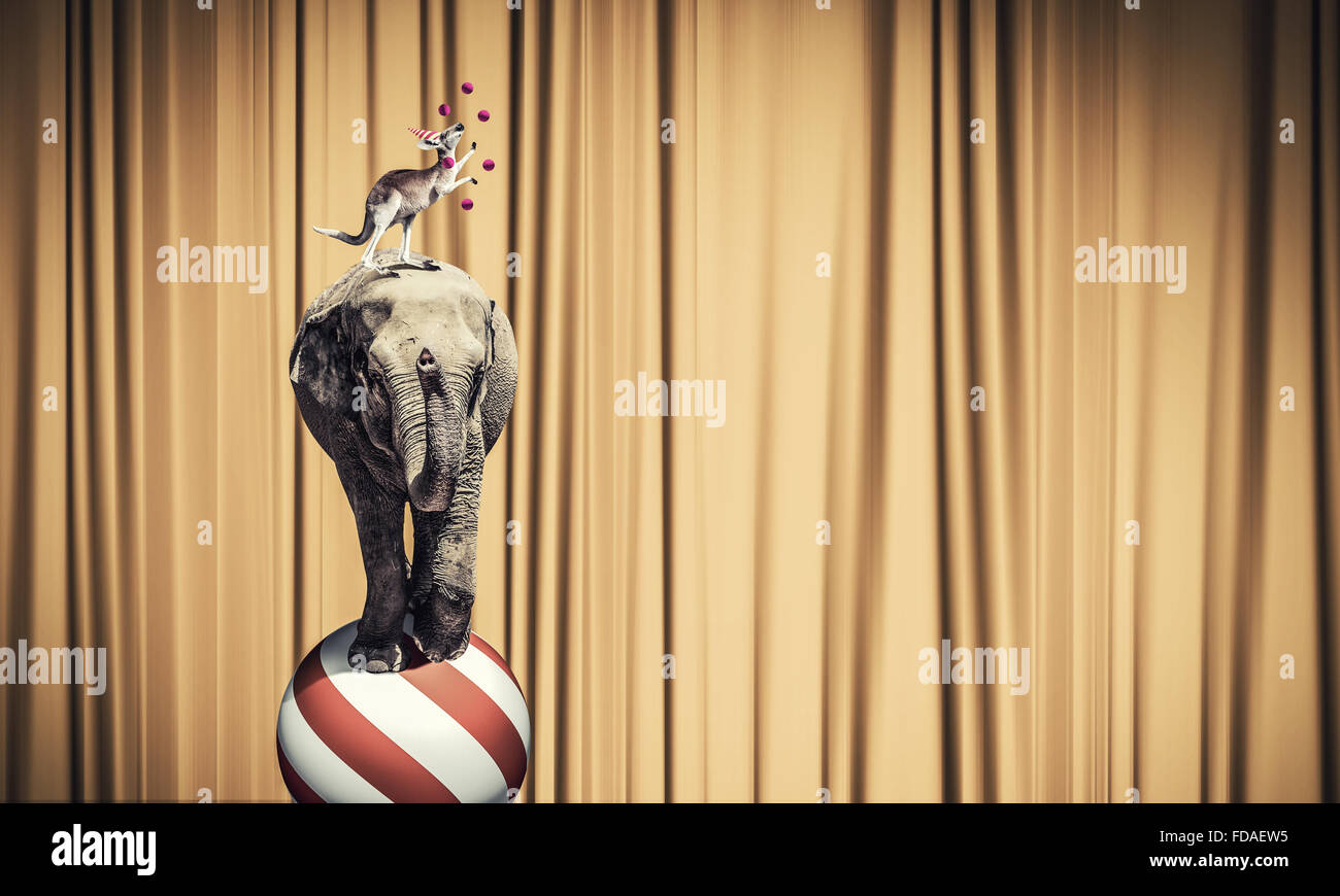 Circus animals standing in stack and balancing on ball Stock Photo - Alamy