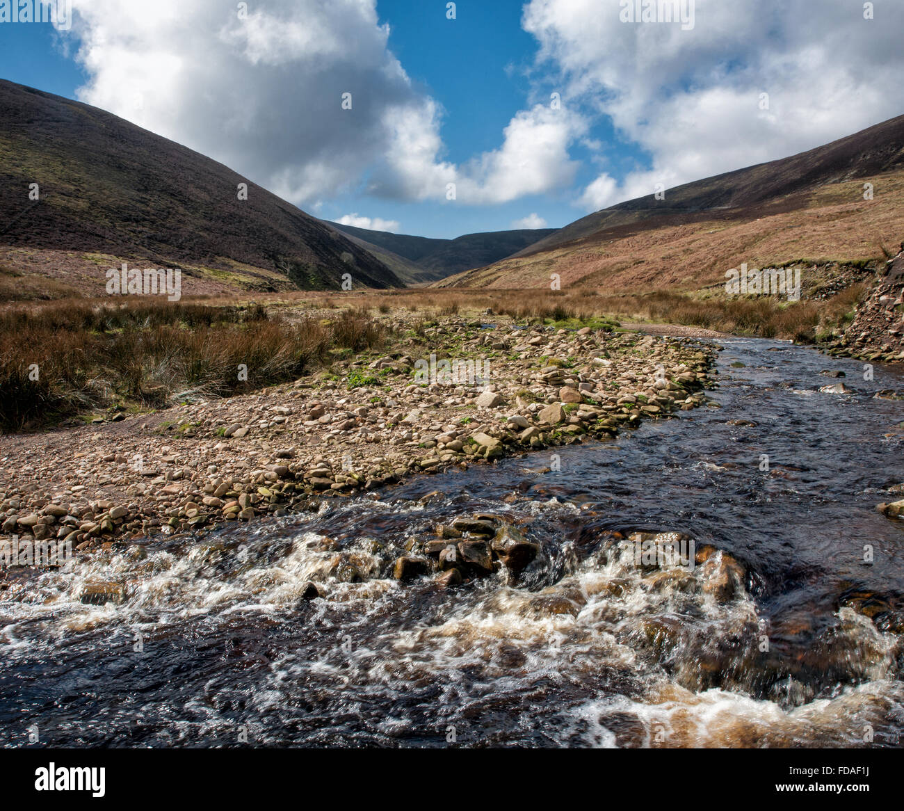 Brook forest hi-res stock photography and images - Alamy