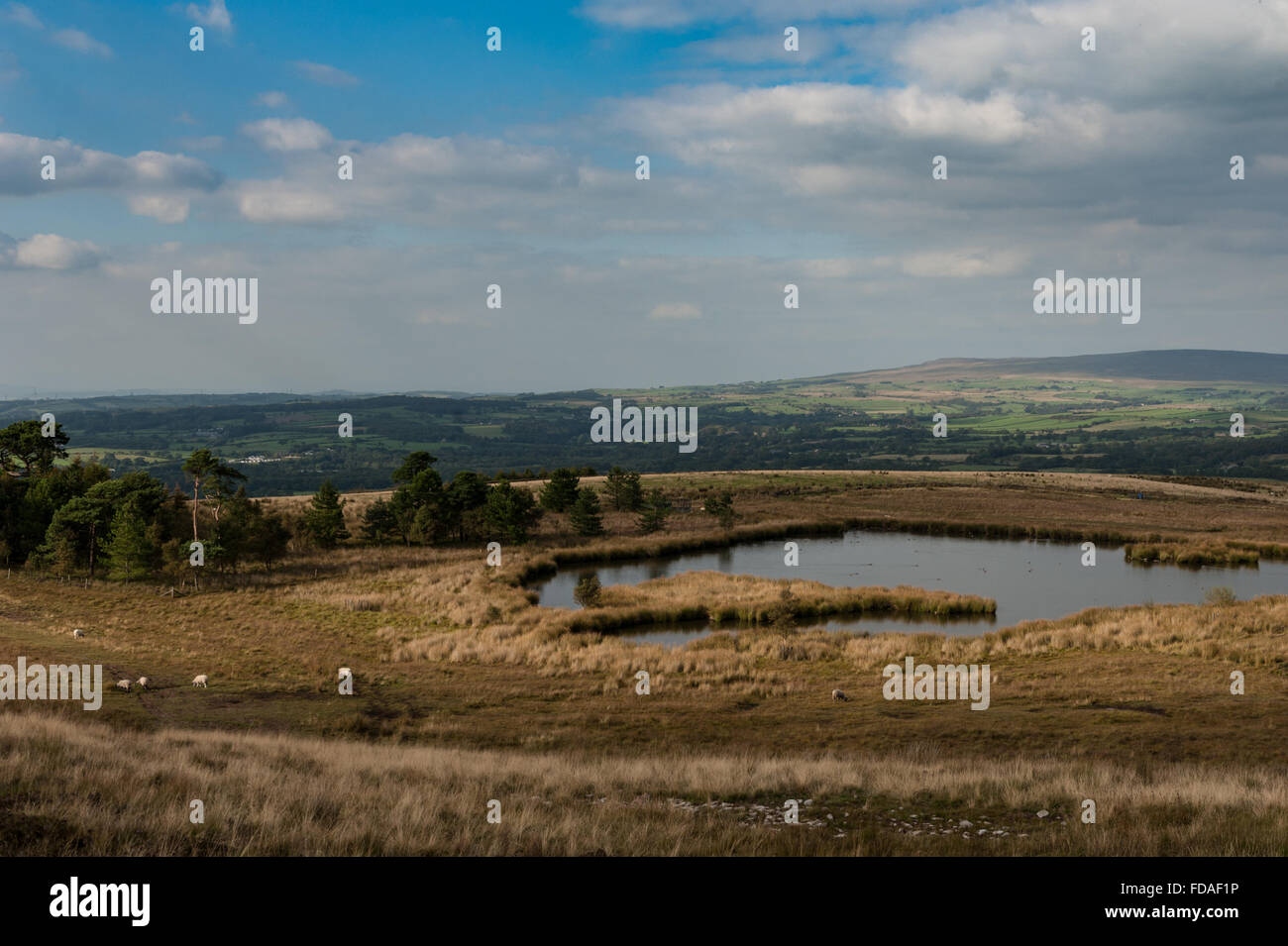 The Tarn Nicky Nook Scorton Lancashire Stock Photo - Alamy