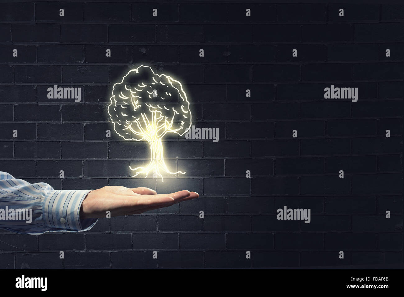 Close up of male hand holding tree in palm Stock Photo - Alamy