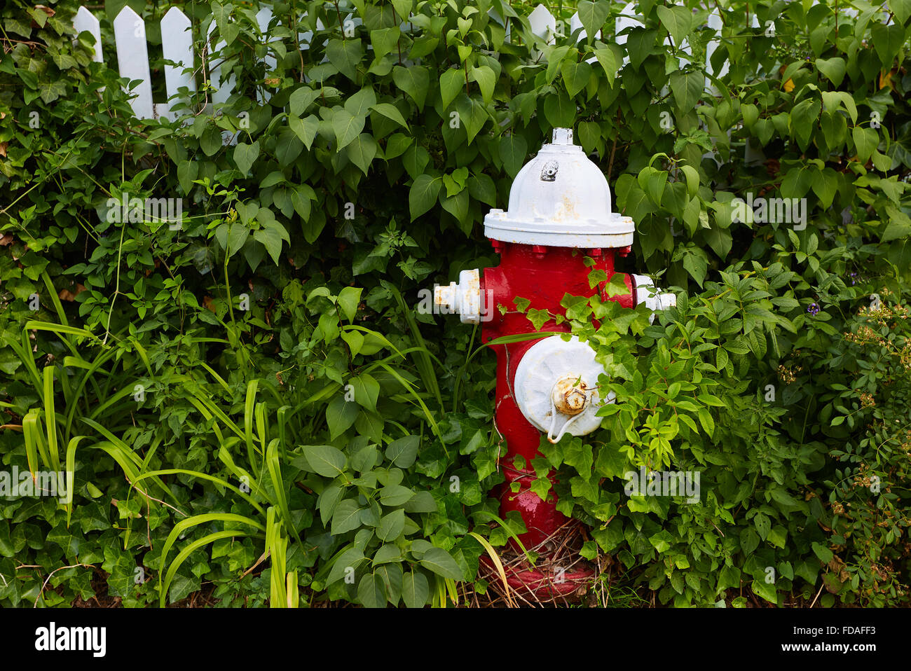 Cape Cod fire Hydrant detail Massachusetts USA Stock Photo - Alamy