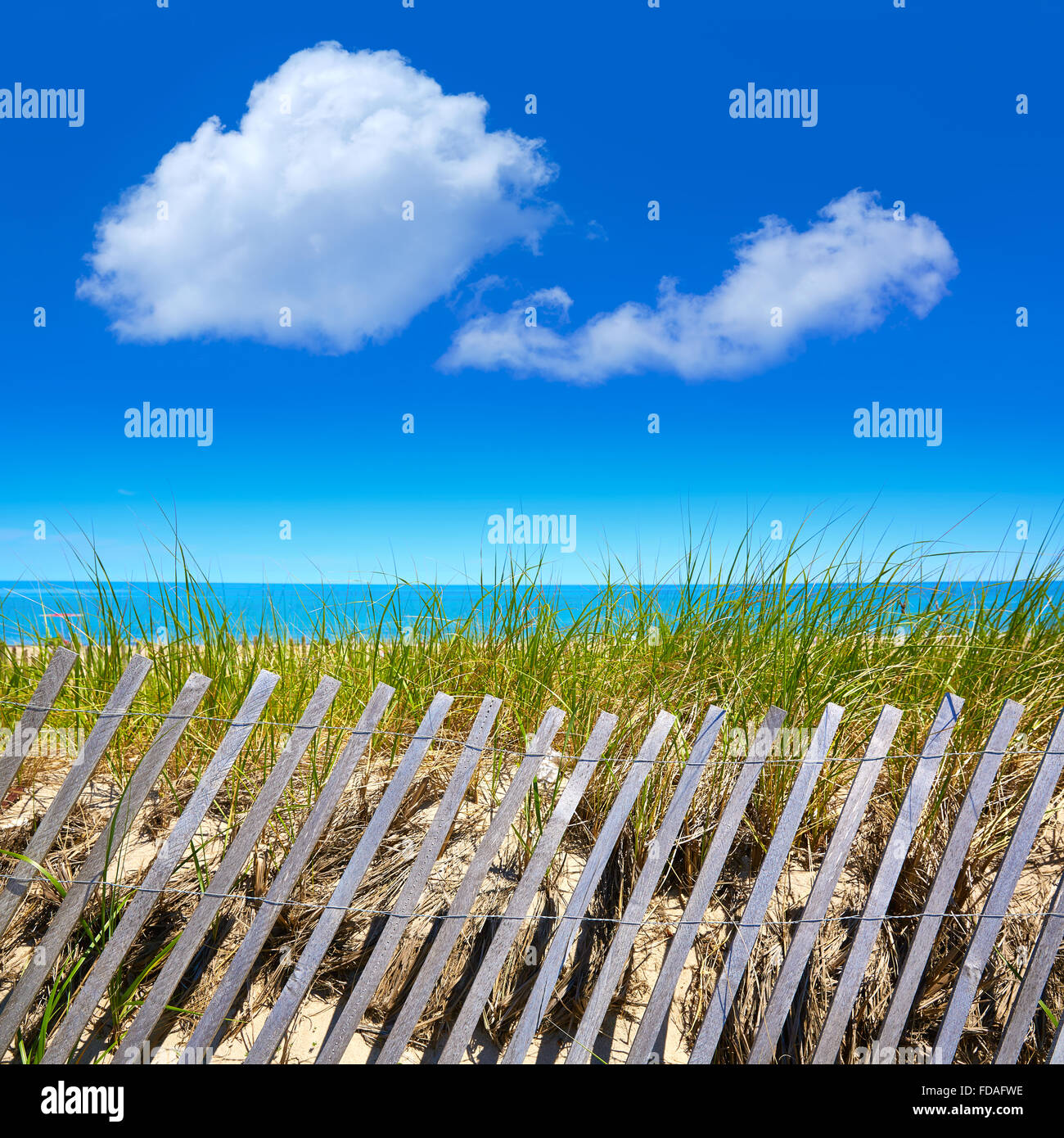 Cape Cod Sandy Neck Beach in Barnstable Massachusetts USA Stock Photo ...