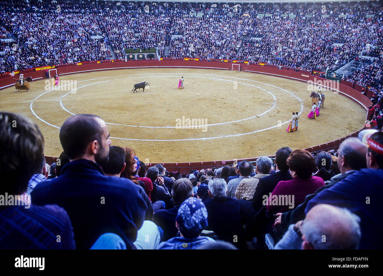 Plaza de Toros de Valencia, bullring,Valencia,Spain Stock Photo - Alamy
