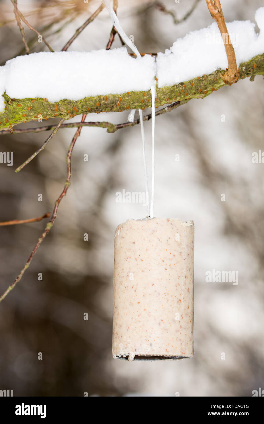 Fat tree hi-res stock photography and images - Alamy