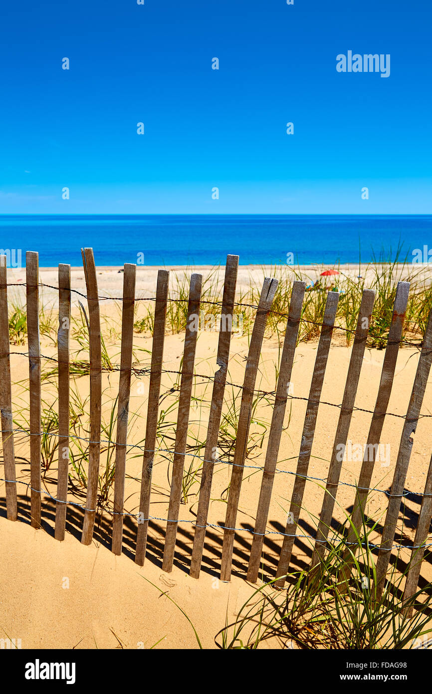 Sandy neck hi-res stock photography and images - Alamy