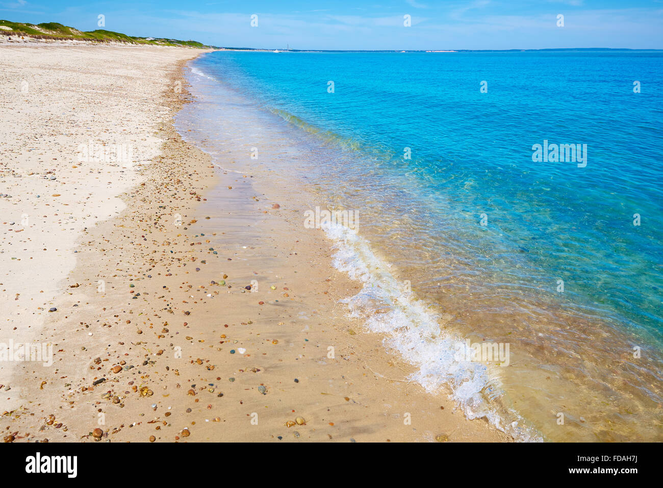 Cape Cod Sandy Neck Beach in Barnstable Massachusetts USA Stock Photo ...