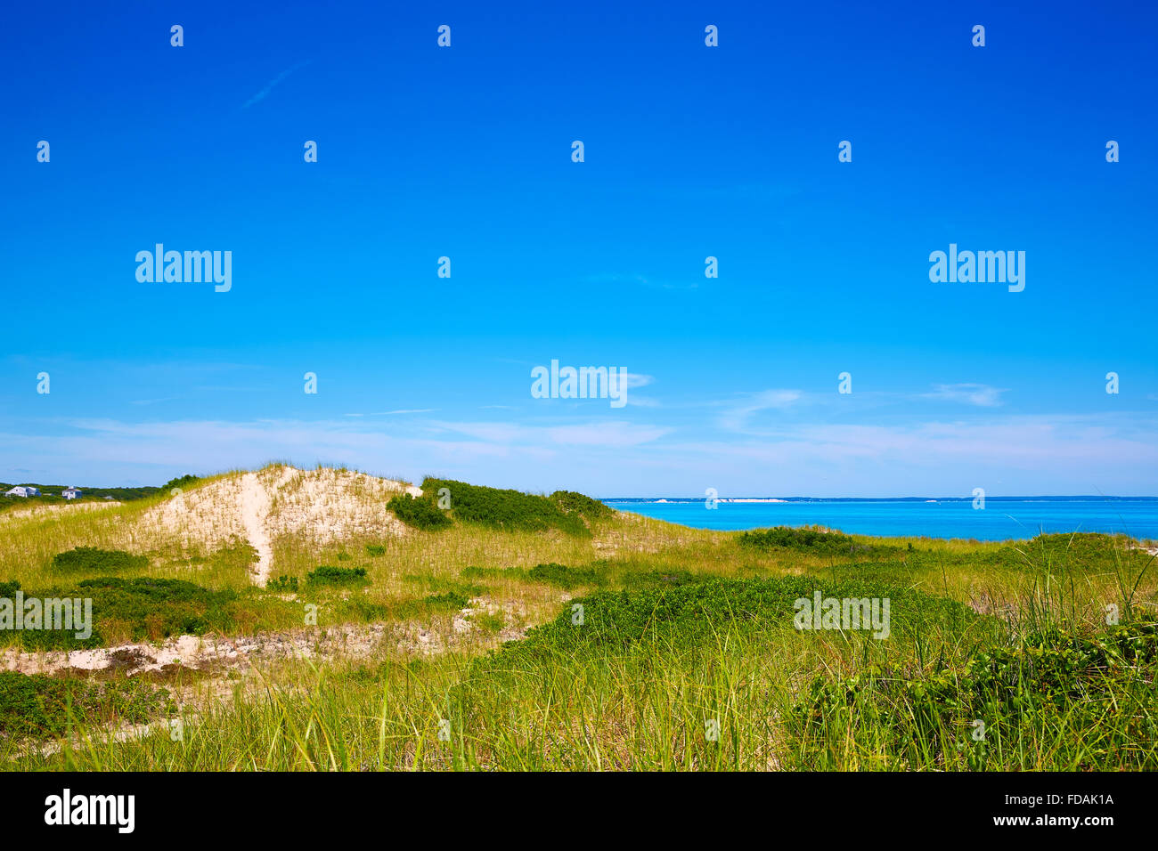 Cape Cod Sandy Neck Beach in Barnstable Massachusetts USA Stock Photo ...