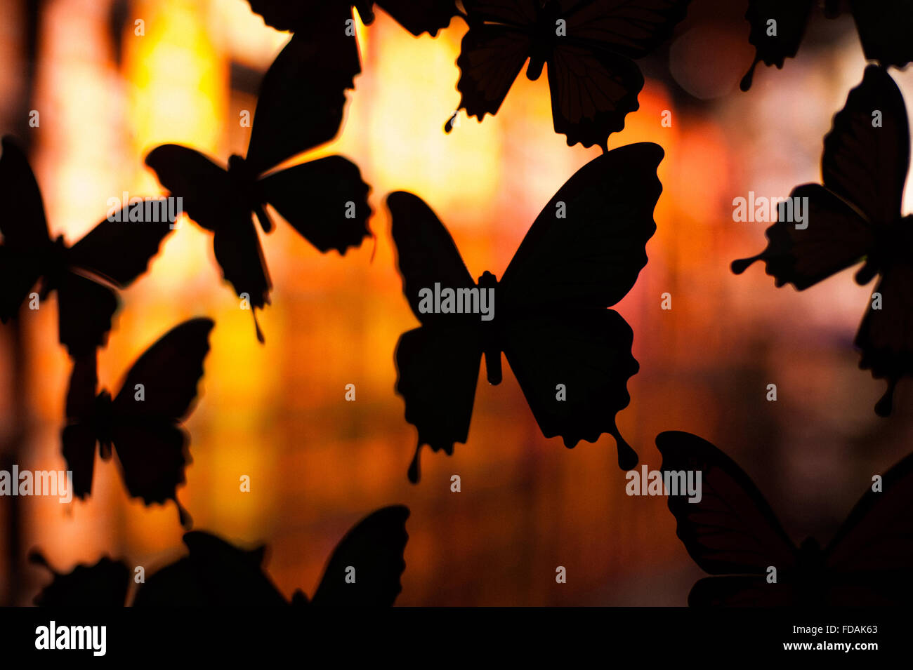 Butterfly design hi-res stock photography and images - Alamy