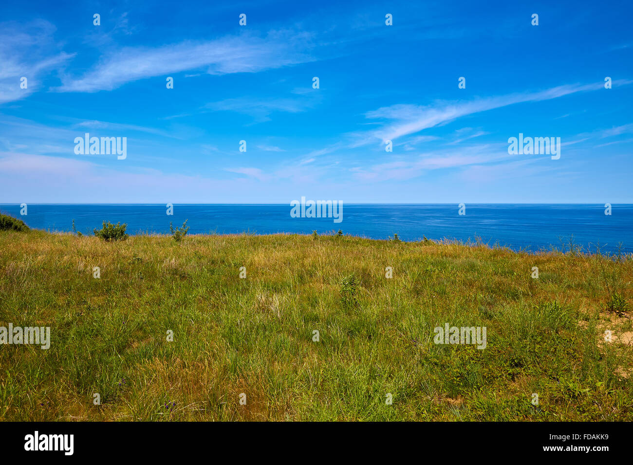 Cape cod sea grass hi-res stock photography and images - Alamy
