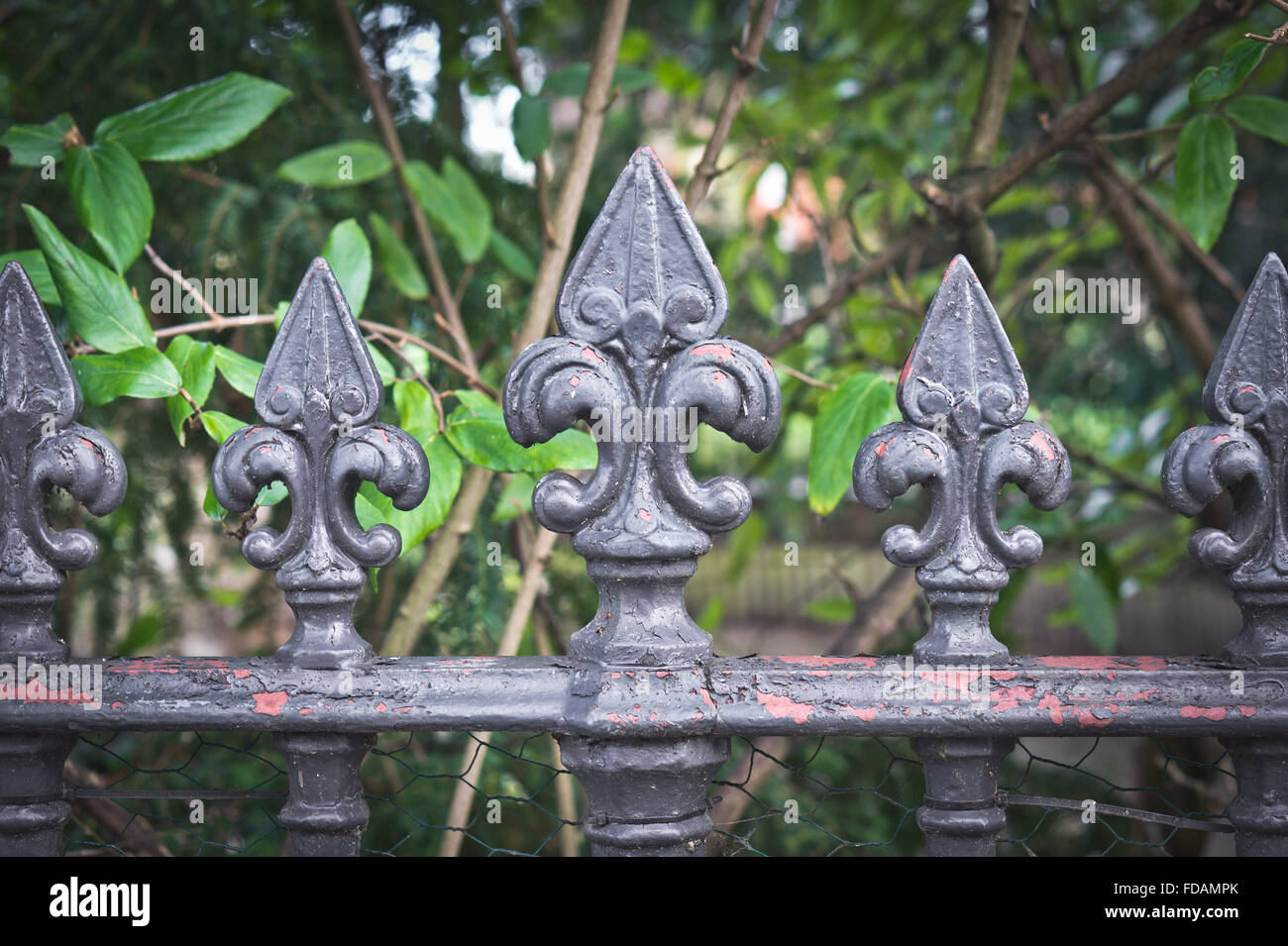 Gothic style metal fence railings Stock Photo - Alamy