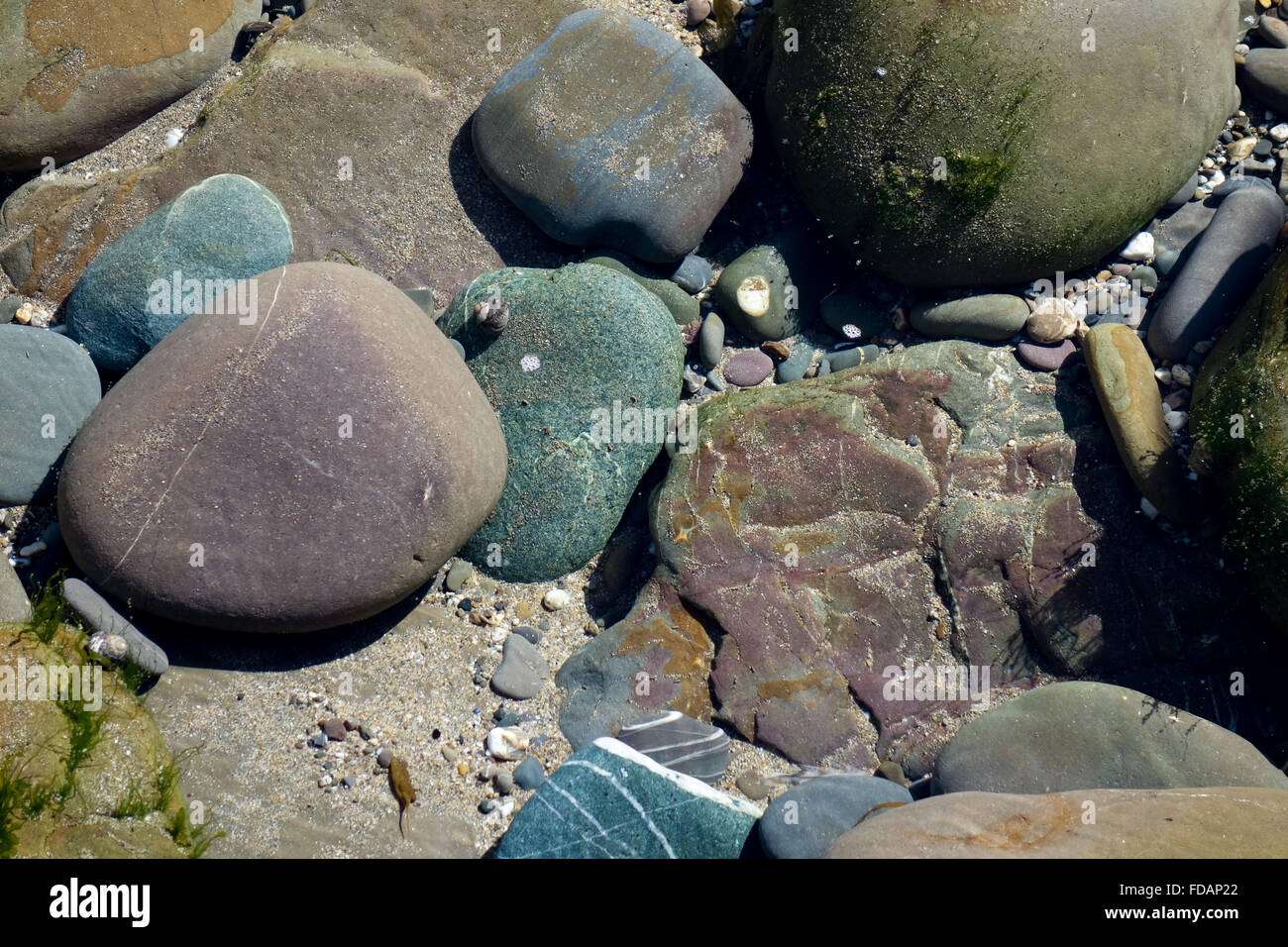 Coloured rocks in a saltwater pool at Bude Stock Photo - Alamy