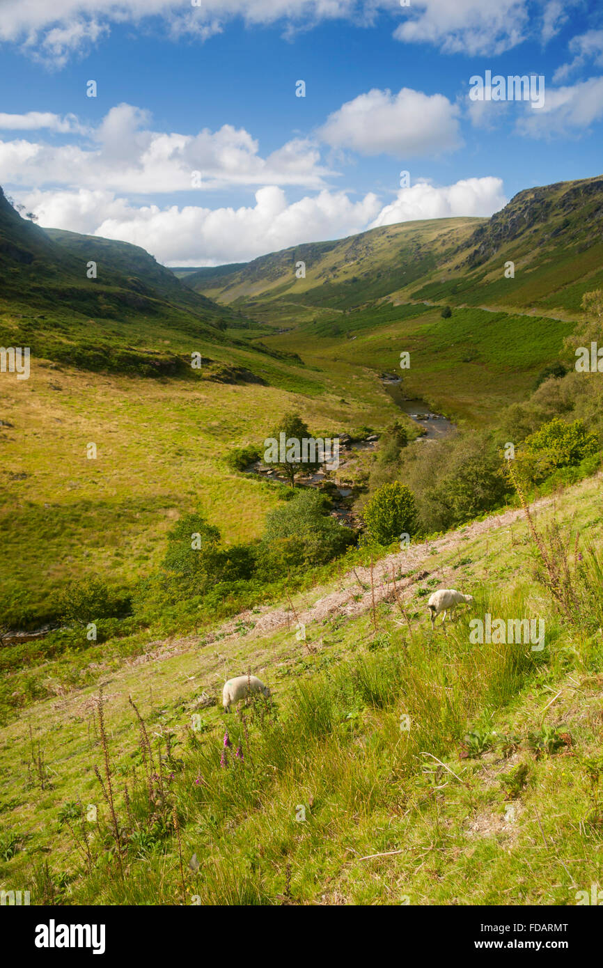 Abergwesyn Pass Irfon valley Cambrian Mountains Powys Mid Wales UK ...