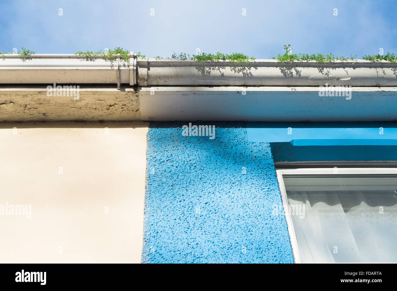 Part of the exterior of a home showing a gutter with overgrown weeds ...
