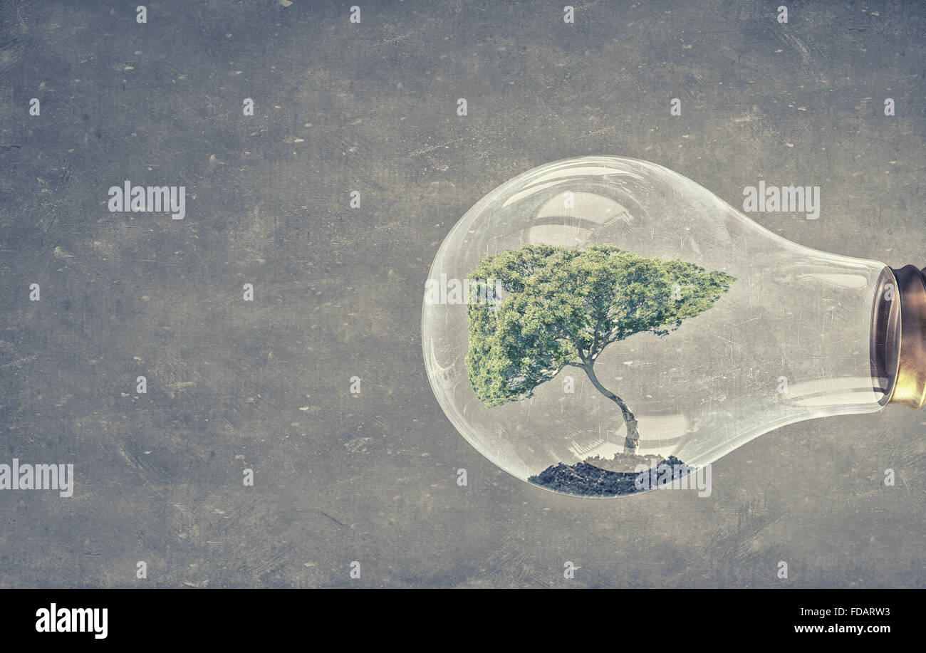 Glass light bulb with green tree inside Stock Photo - Alamy