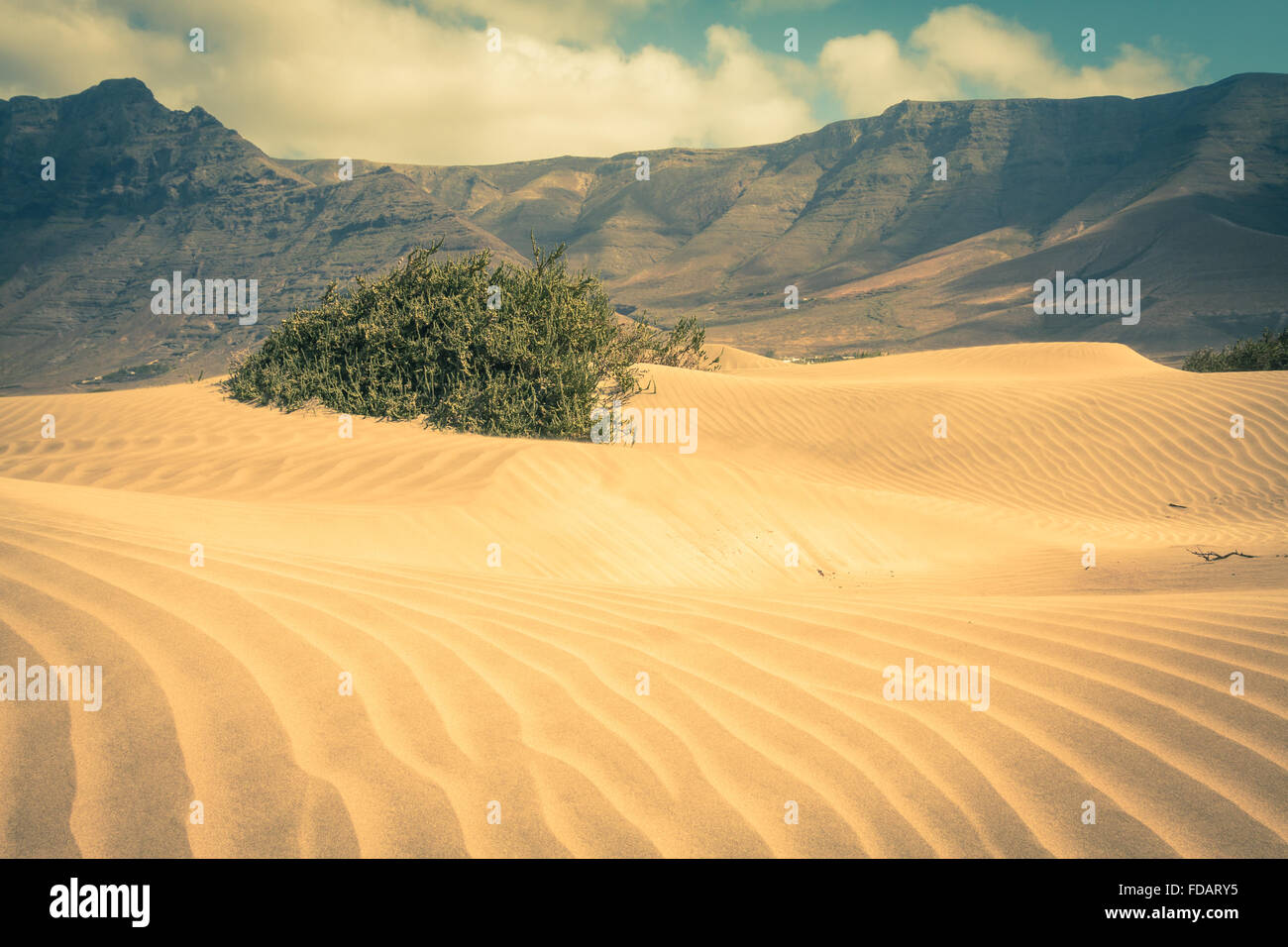 Sand dunes on Famara beach, Lanzarote Stock Photo - Alamy