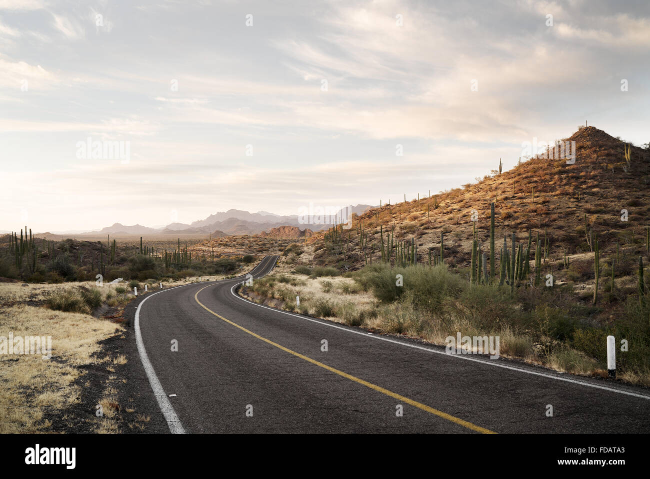 Winding road desert hi-res stock photography and images - Alamy
