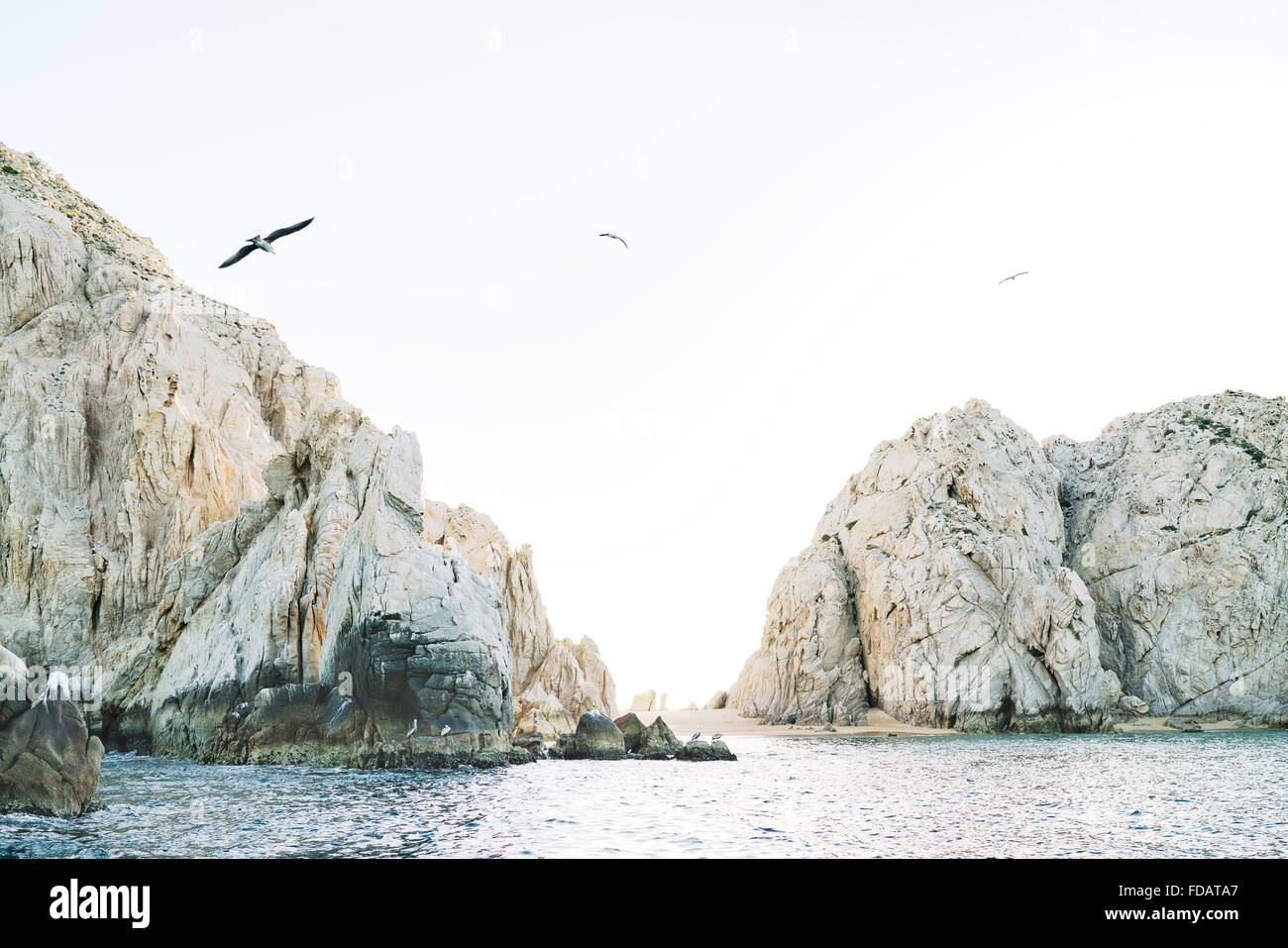 Birds flying over the Pacific Ocean and rocks of Cabo San Lucas, Baja ...
