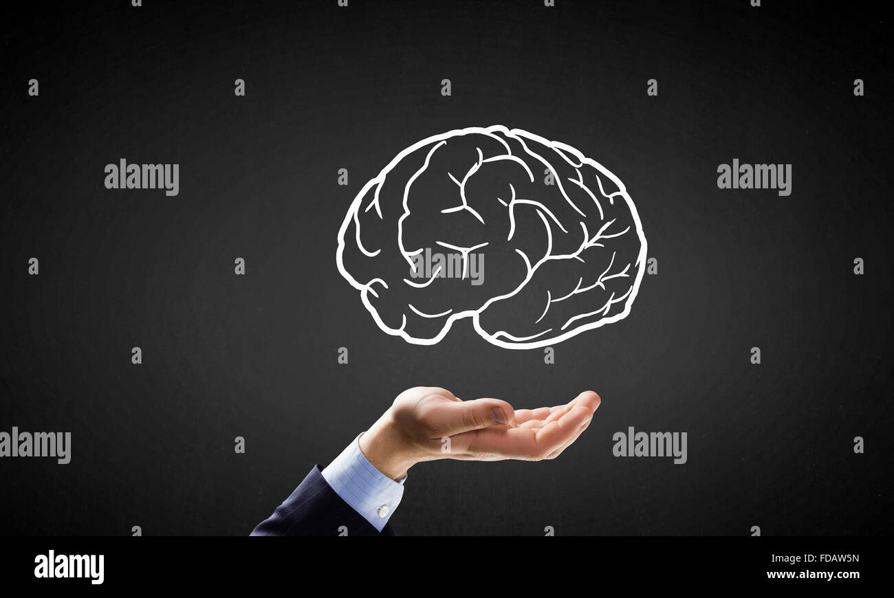 Hand holding human brain organ hi-res stock photography and images - Alamy