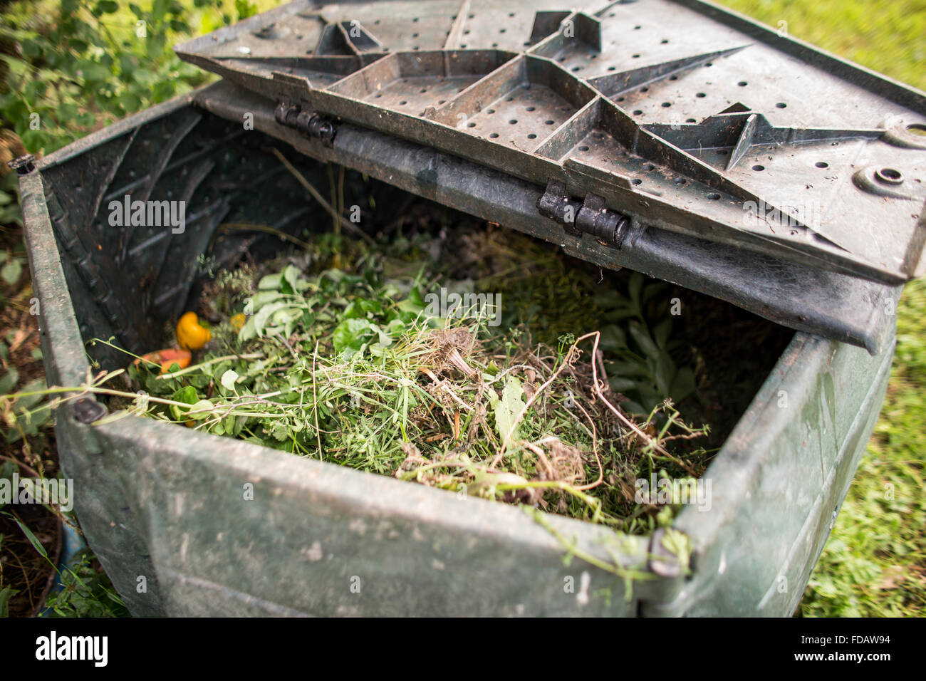 Plastic composter in a garden - filled with decaying organic material ...