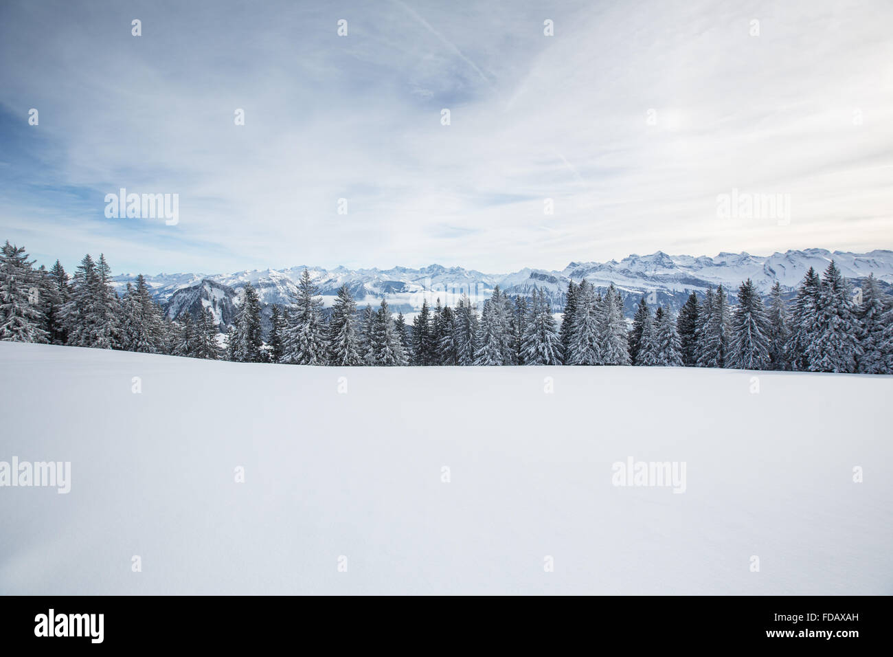 Splendid winter alpine scenery with high mountains and trees covered ...