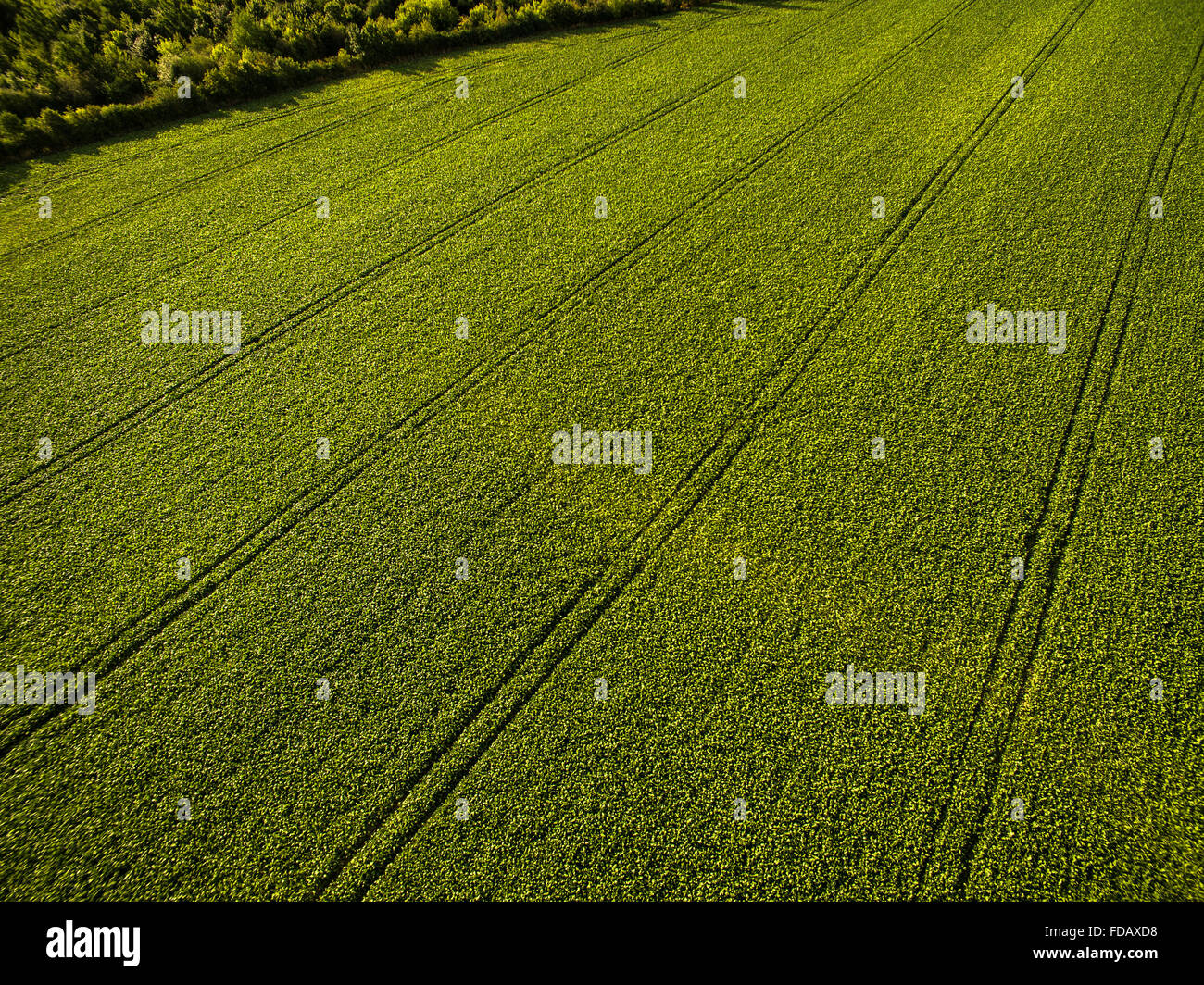 Farmland from above - aerial image of a lush green filed Stock Photo ...