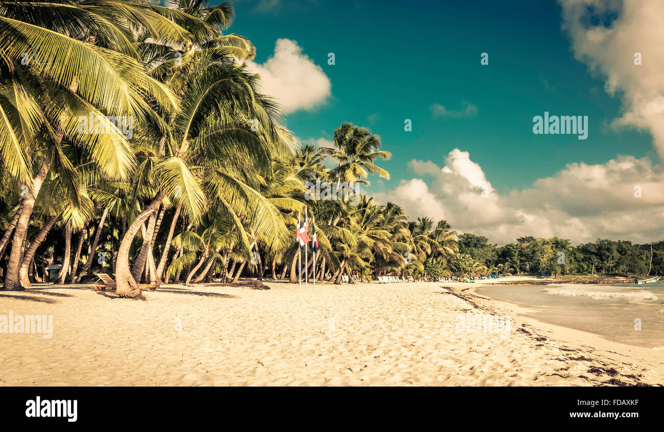 Saona island dominican republic hi-res stock photography and images - Alamy