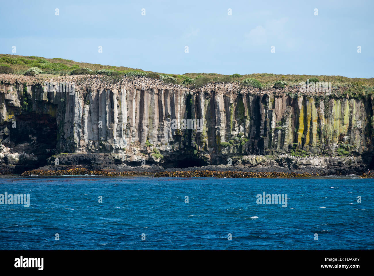 New Zealand, Auckland Islands. Southern Ocean view of the cliffs at ...