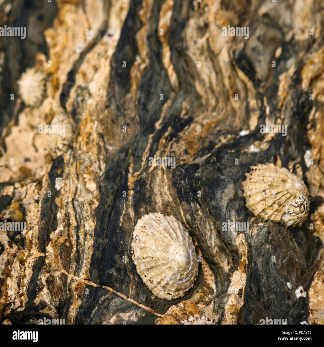 Black rock white lines hi-res stock photography and images - Alamy