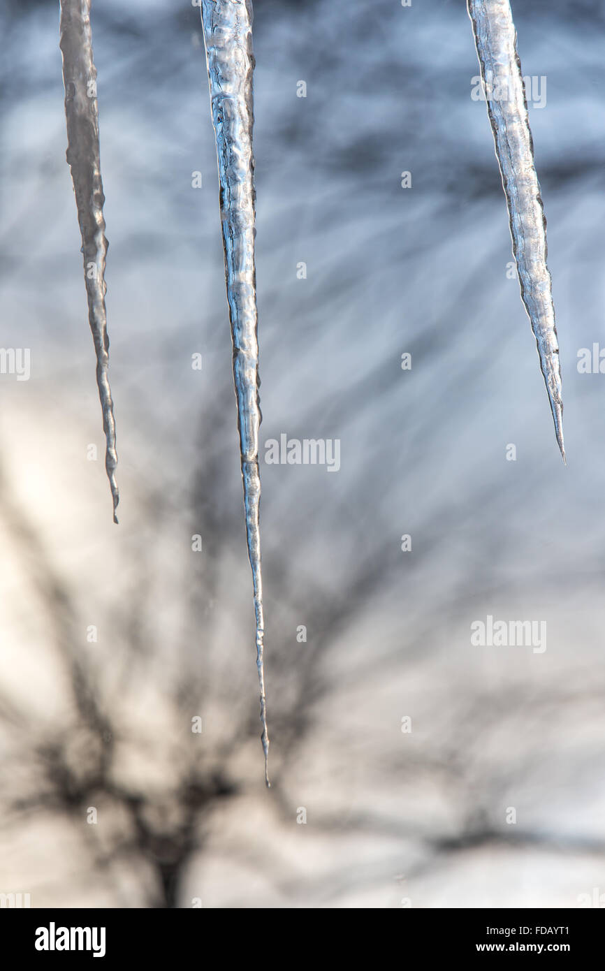 Icicles and abstract background Stock Photo - Alamy