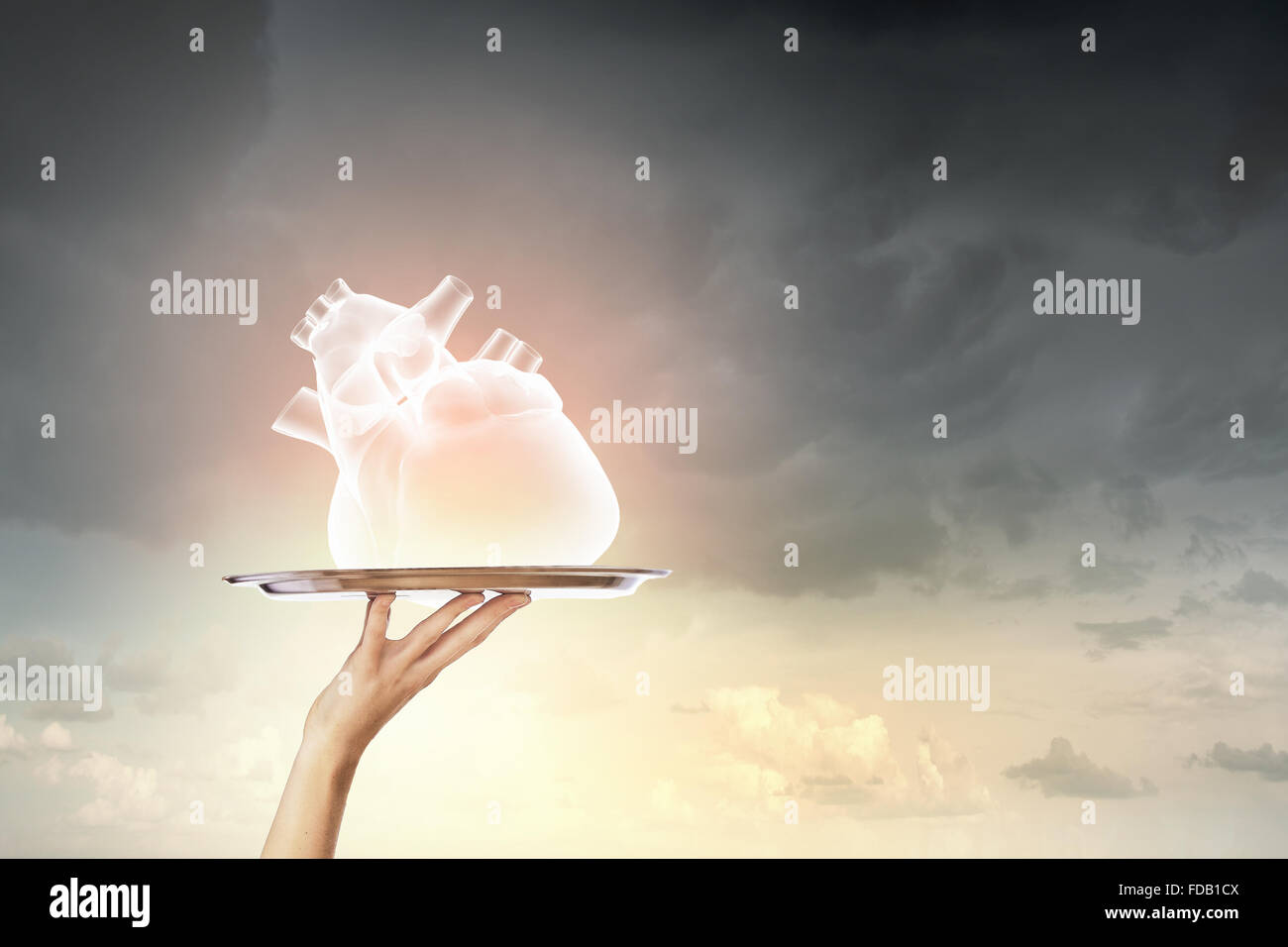 Hand holding tray with human heart sign Stock Photo - Alamy