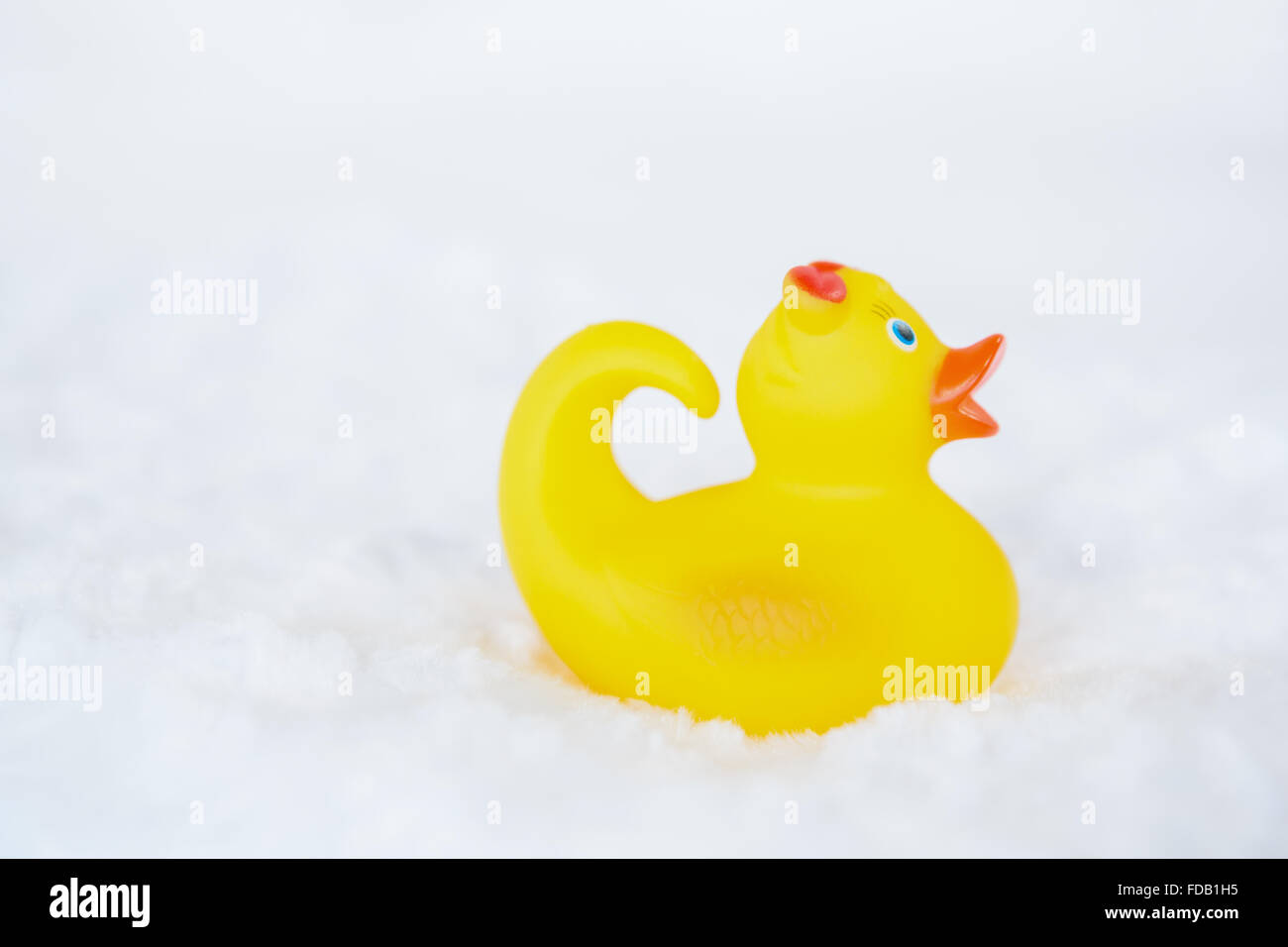 Little yellow plastic duck hi-res stock photography and images - Alamy