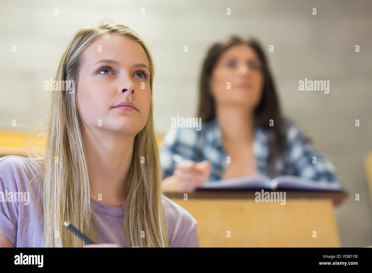 Students sitting beside each other while learning Stock Photo - Alamy