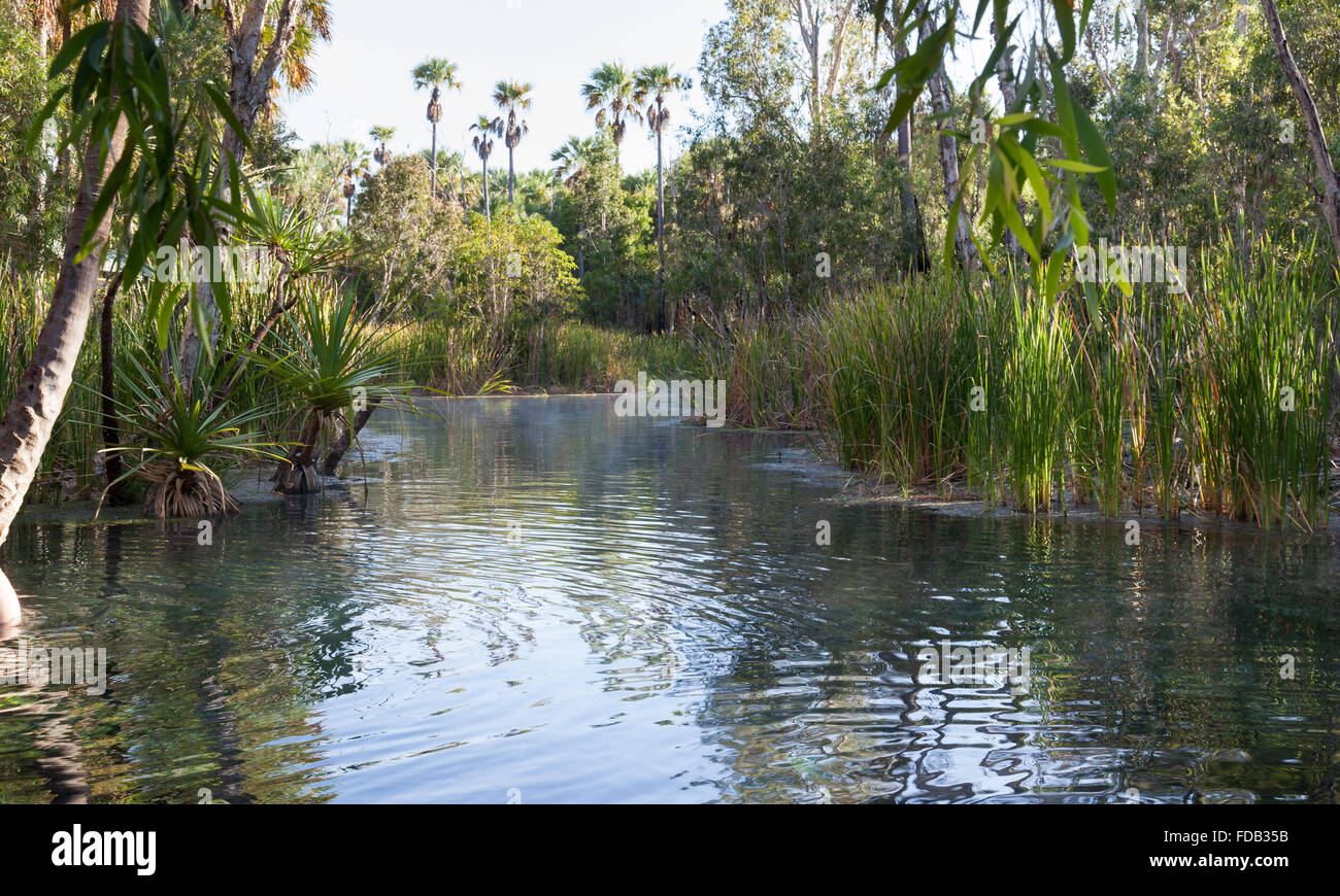 Roper river hot springs hi-res stock photography and images - Alamy