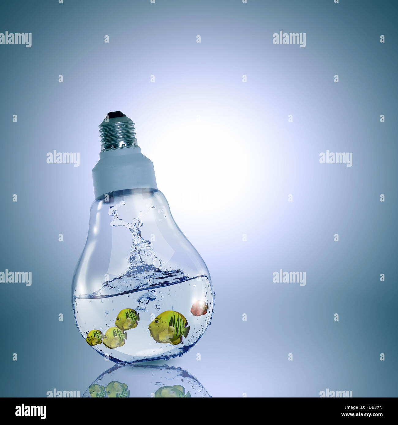 Exotic fish in water inside electric light bulb Stock Photo - Alamy