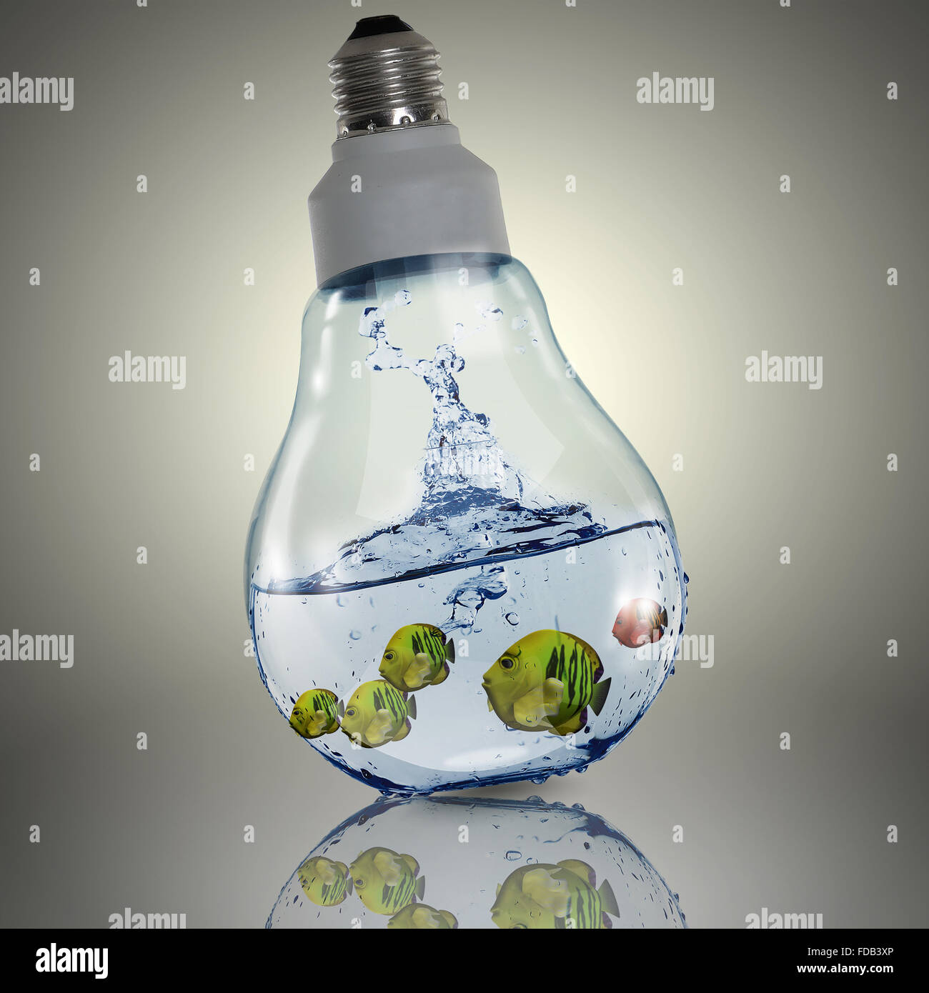 Exotic fish in water inside electric light bulb Stock Photo - Alamy