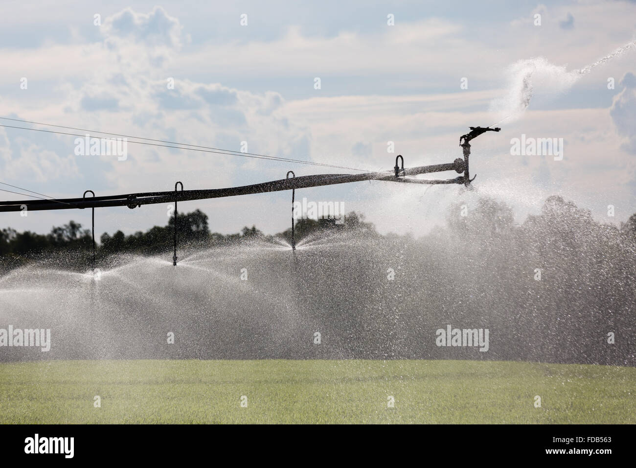 A Lateral Move Irrigation System, sometimes called a Linear Move ...