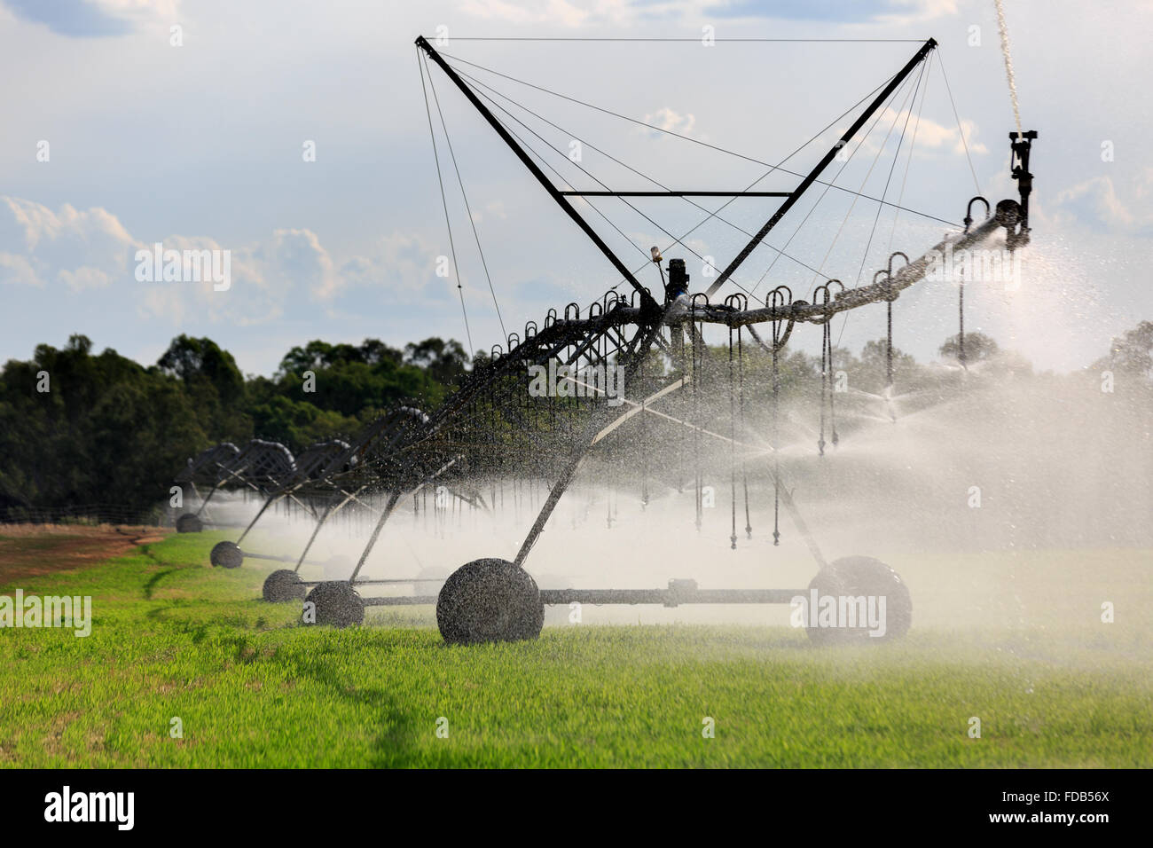 A Lateral Move Irrigation System, sometimes called a Linear Move, Wheelmove or Side Roll System ...