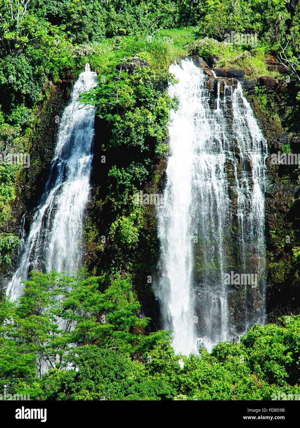 Beautiful waterfalls surrounded by lush greenery in a rainforest/jungle ...