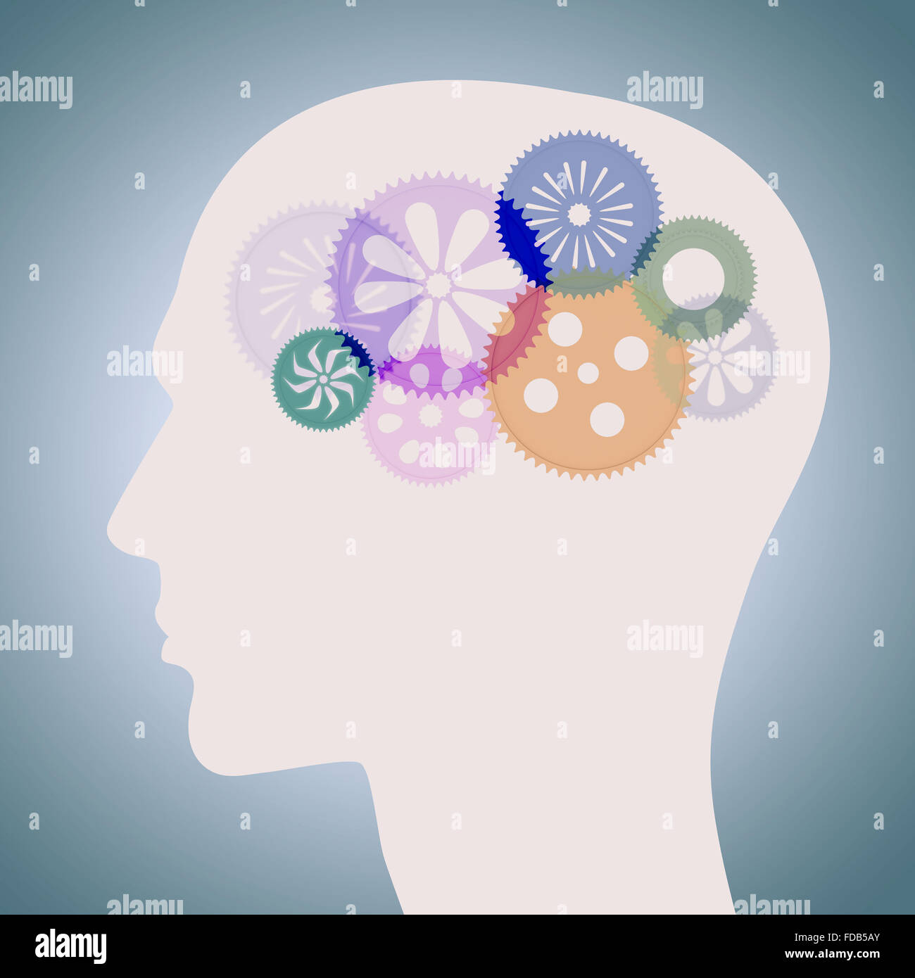 Human head gears in hi-res stock photography and images - Alamy