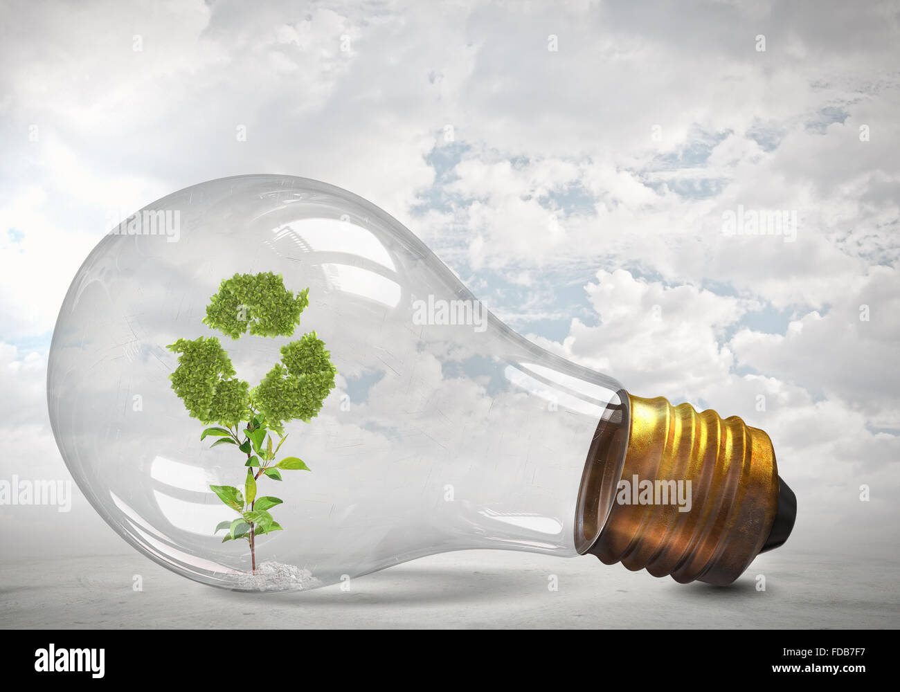 Glass lightbulb with green recycle symbol growing inside Stock Photo ...
