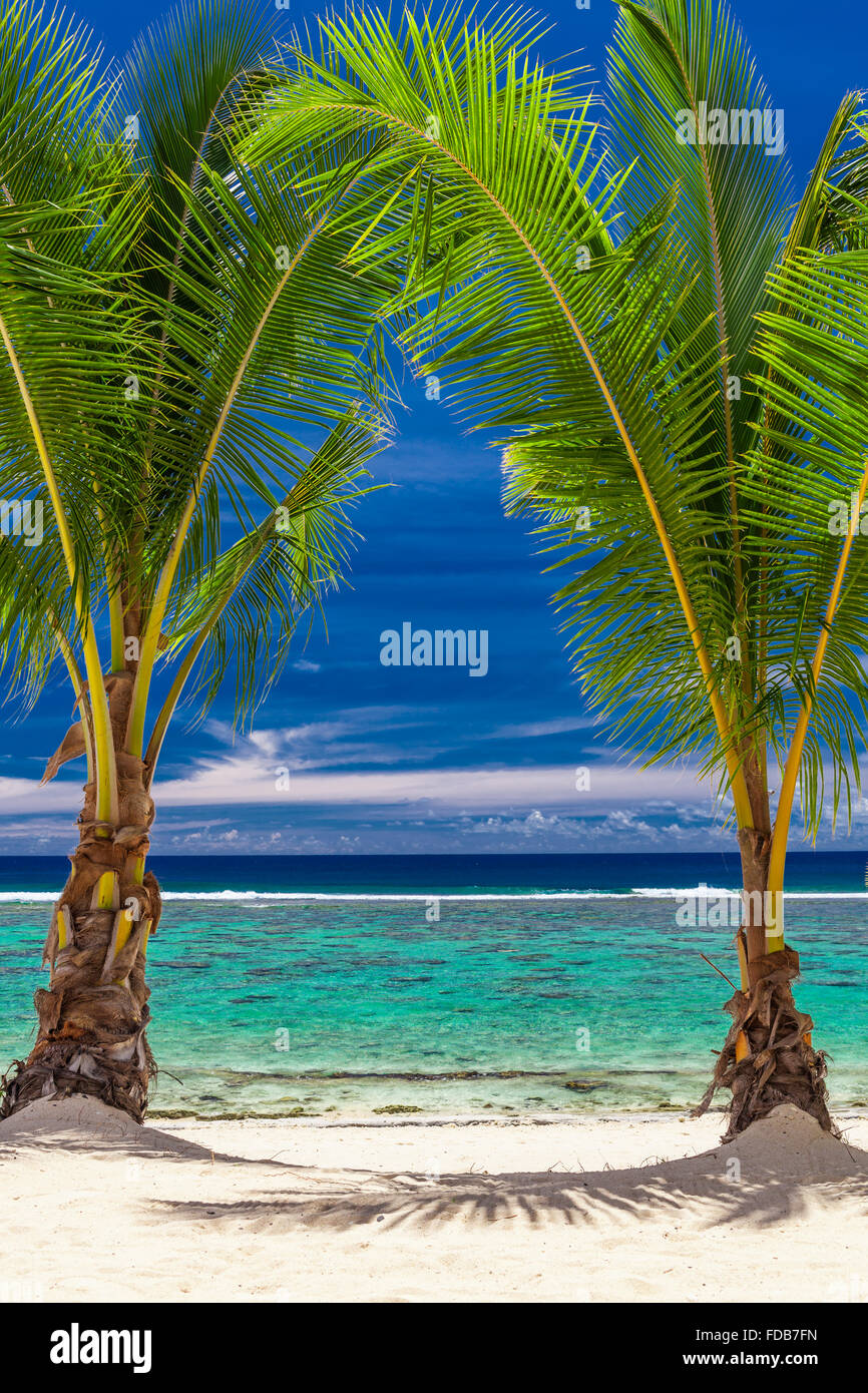 Two small palm trees over stunning blue lagoon, Cook Islands Stock ...