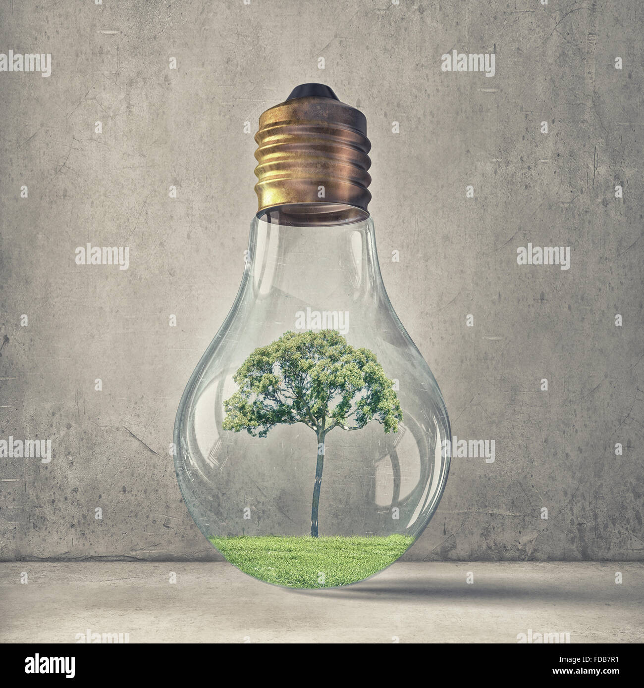 Glass lightbulb with green tree growing inside Stock Photo - Alamy