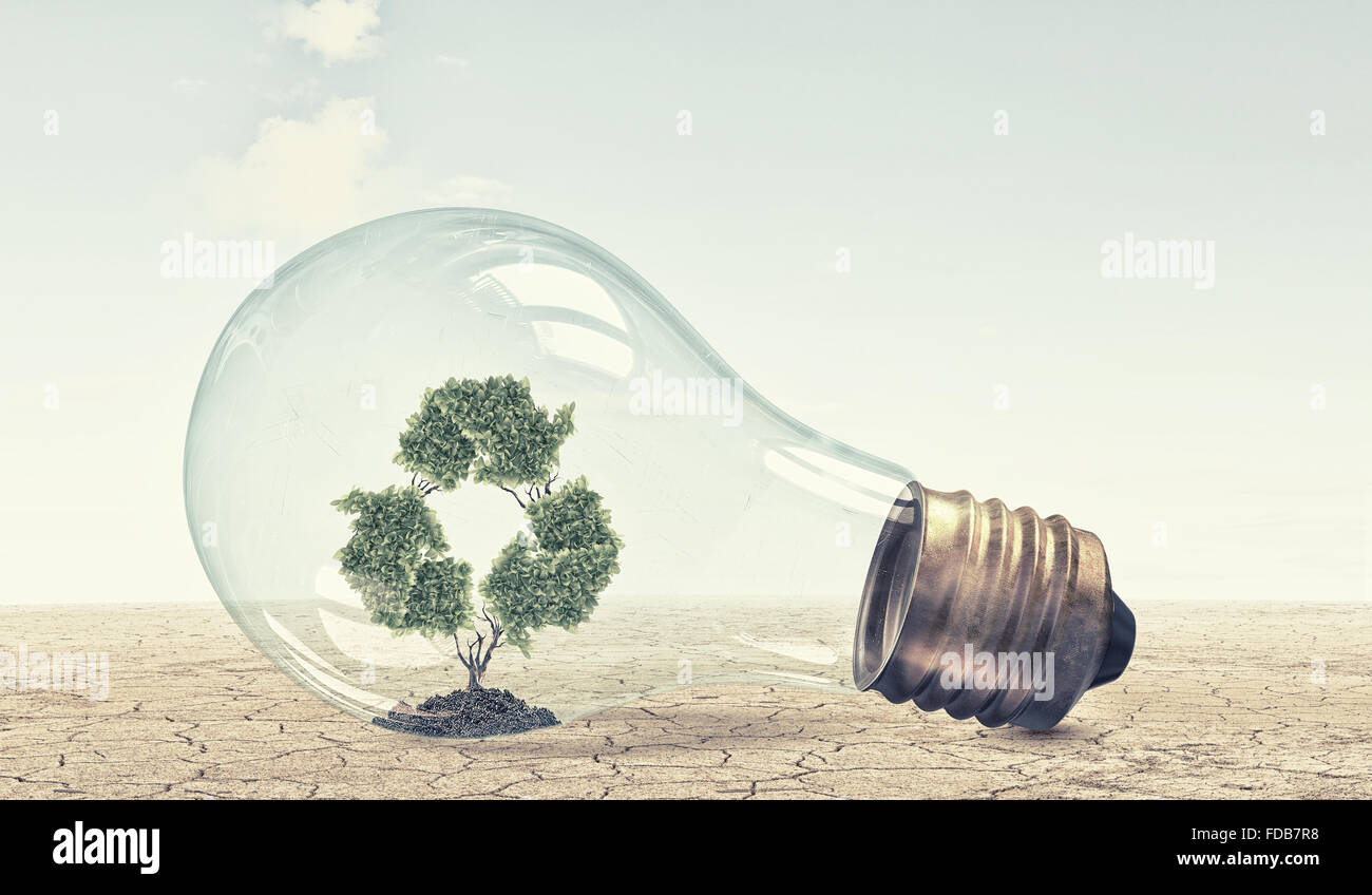 Glass lightbulb with green recycle symbol growing inside Stock Photo ...