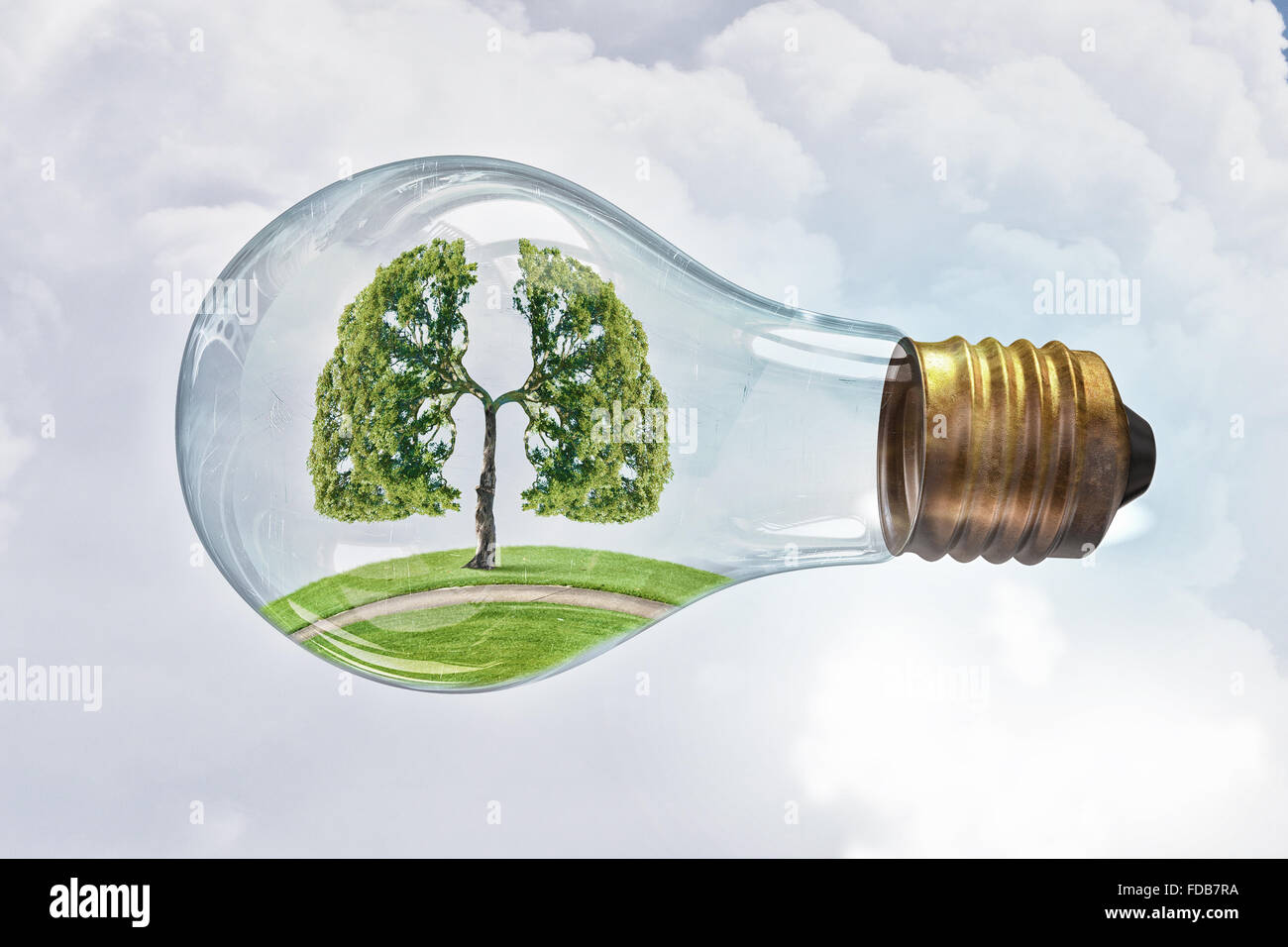 Glass lightbulb with green tree growing inside Stock Photo - Alamy