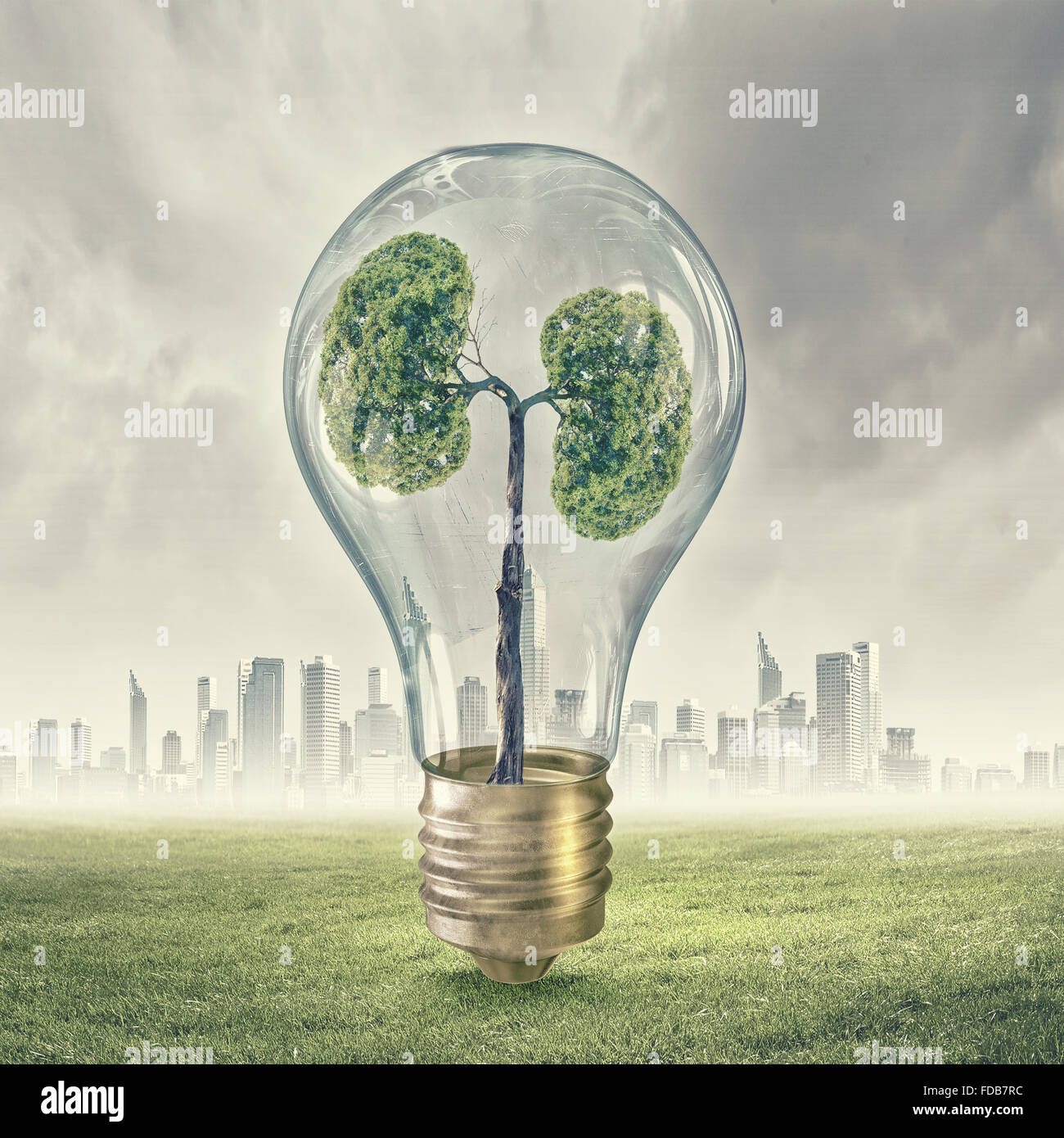 Glass lightbulb with green tree growing inside Stock Photo - Alamy