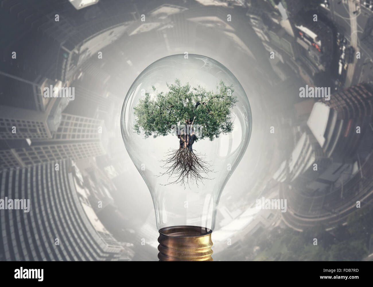 Glass lightbulb with green tree growing inside Stock Photo - Alamy