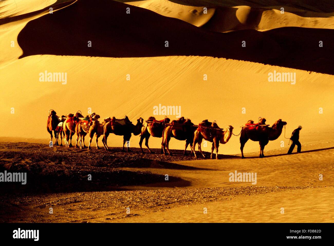 Qinghai Province the desert Stock Photo - Alamy