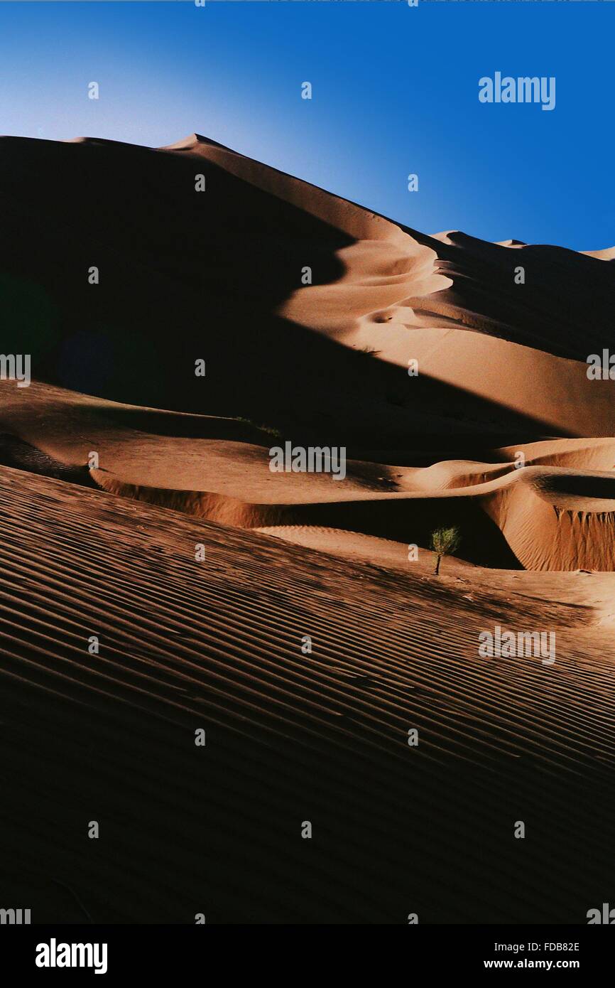 Qinghai Province the desert Stock Photo - Alamy