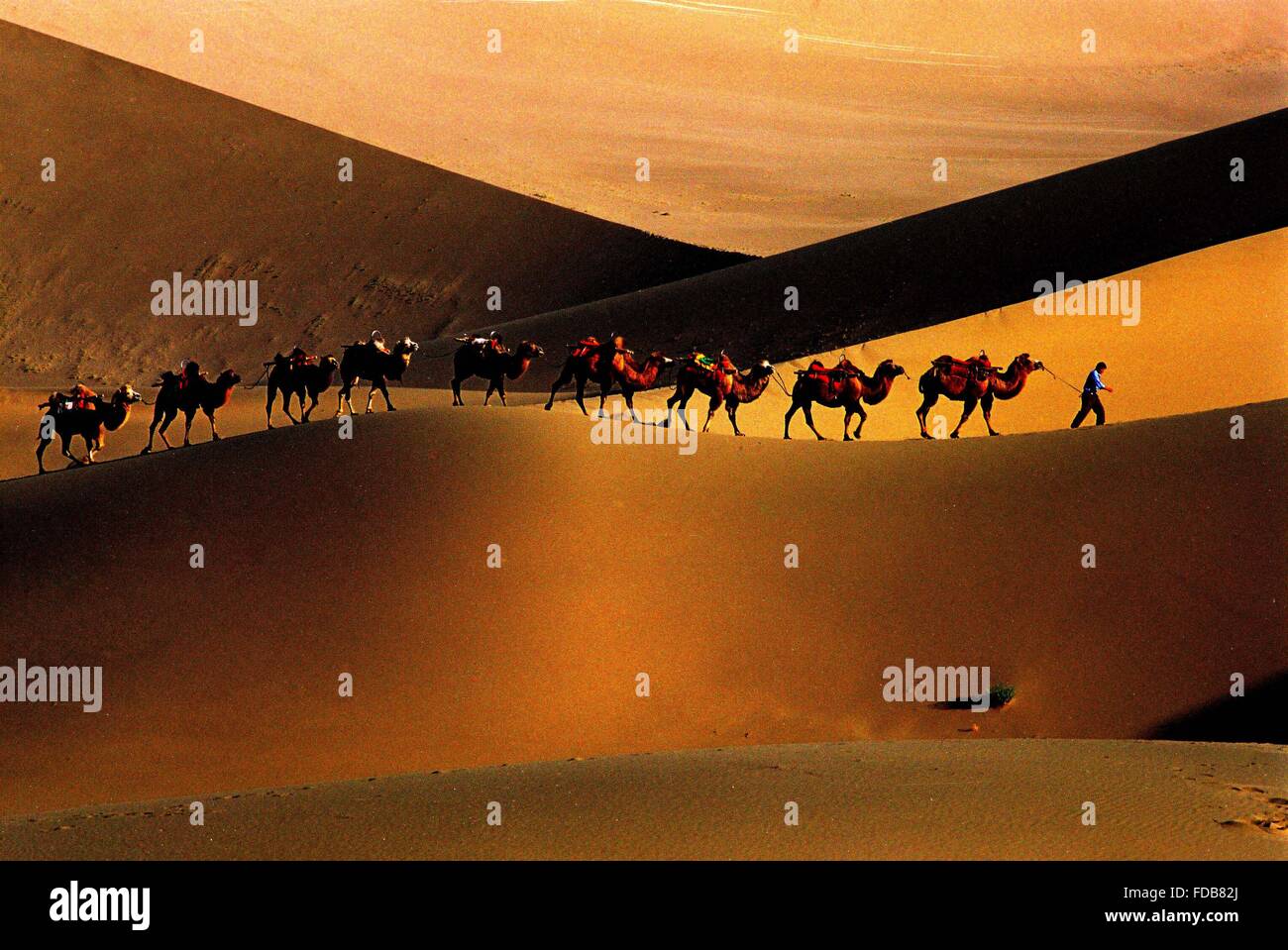 Qinghai Province the desert Stock Photo - Alamy