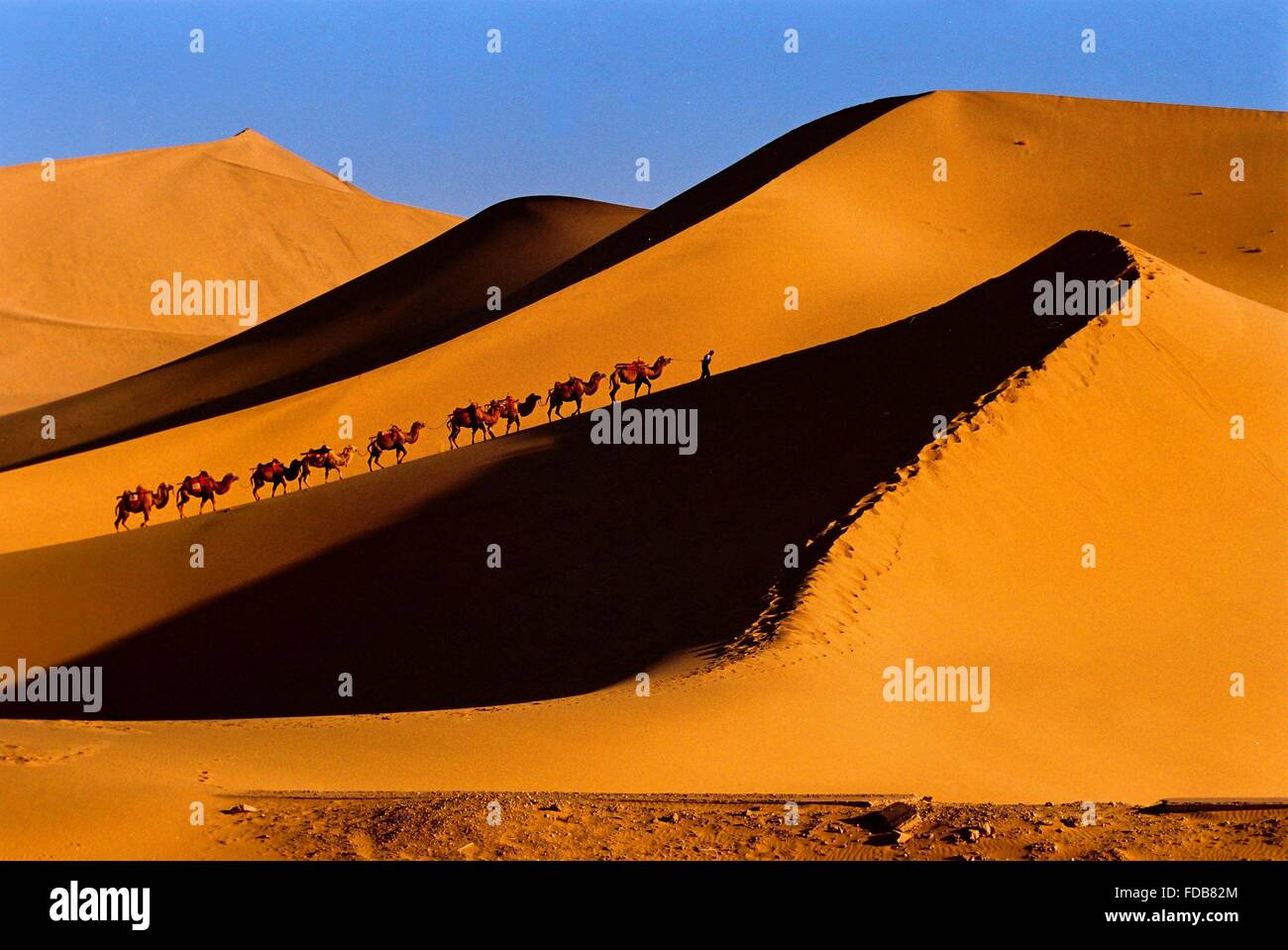 Qinghai Province the desert Stock Photo - Alamy